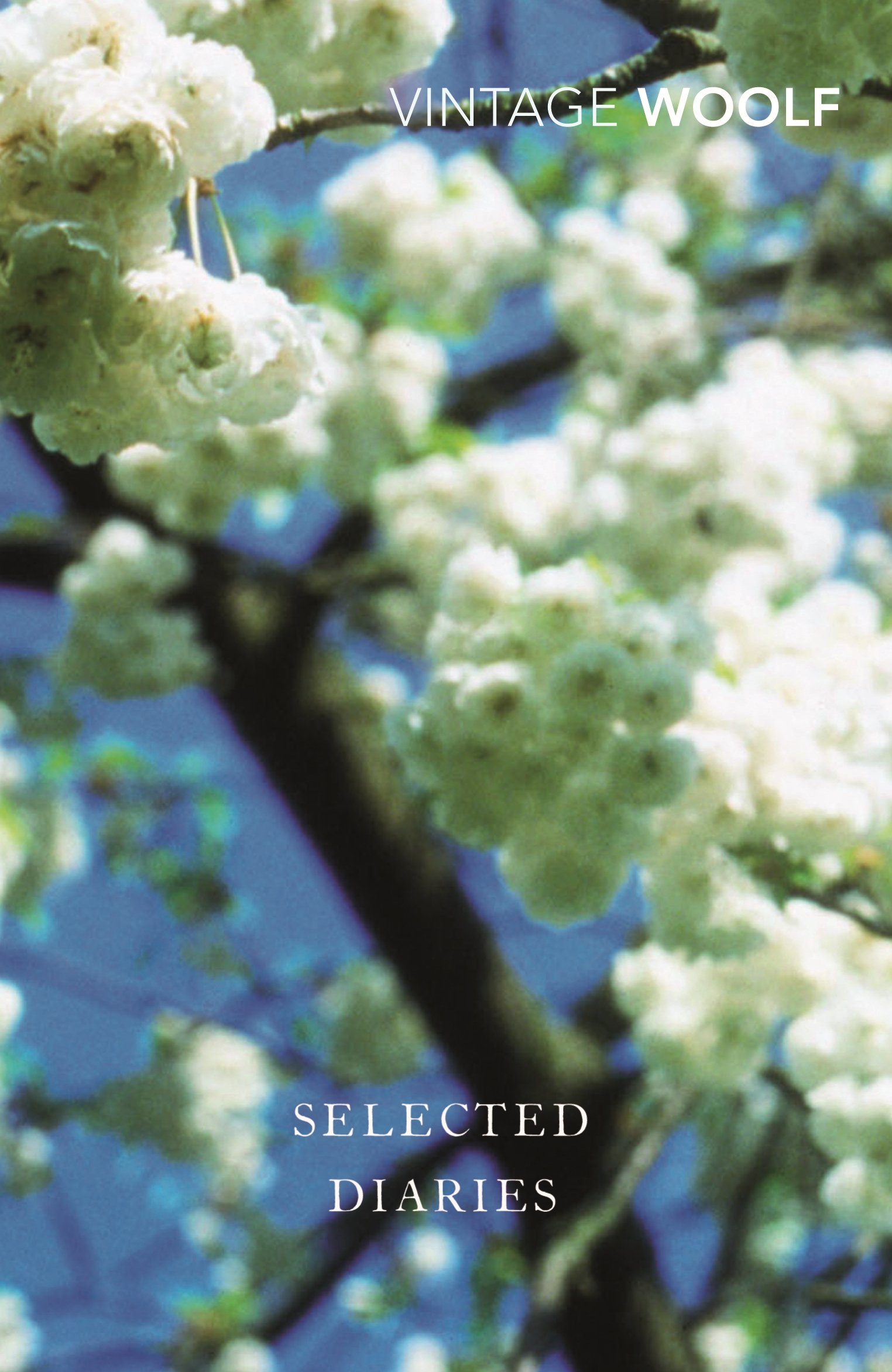 Selected Diaries: Woolf, Virginia: 9780099518259: Amazon.com: Books