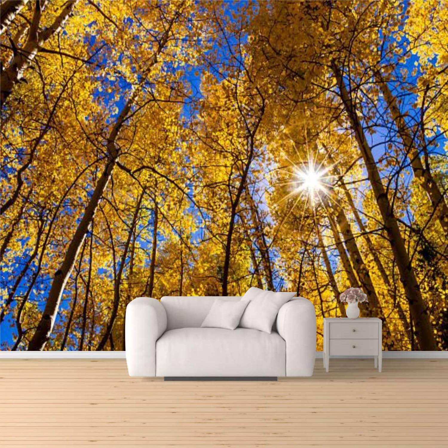 Colorado Fall Colors Wallpaper