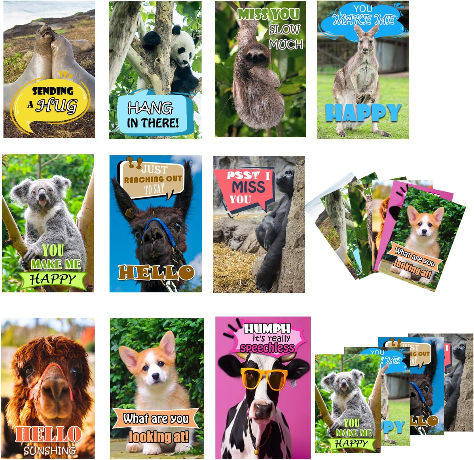 Amazon.com : SMARSTICKER Funny Animal Postcards 40 Pack Animal Greeting ...