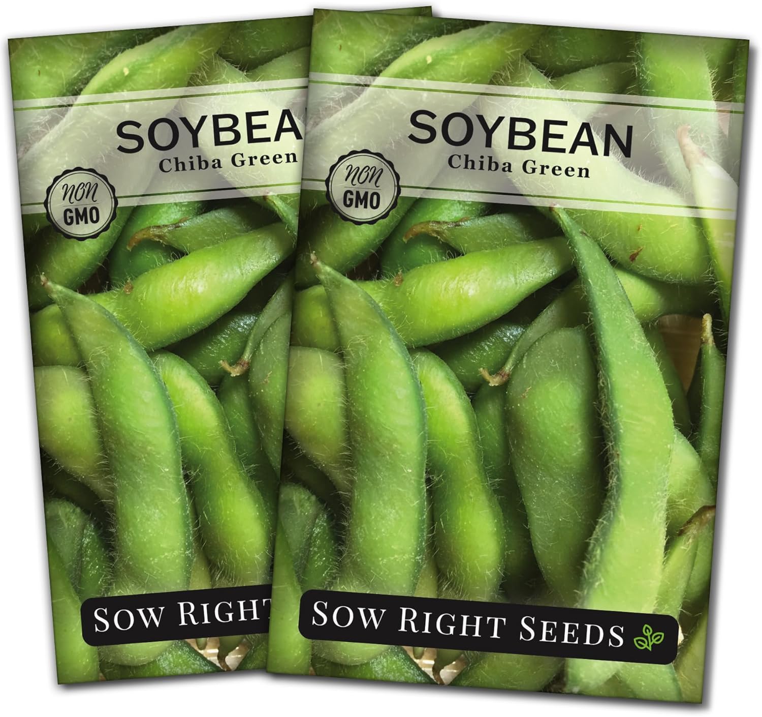 Amazon.com : Sow Right Seeds - Chiba Green Soybean Seeds for Planting ...