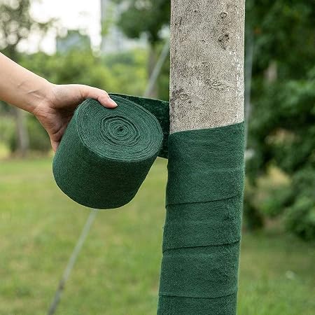 Amazon.com: Dalen Protective Tree Wrap and Breathable Material – Non ...