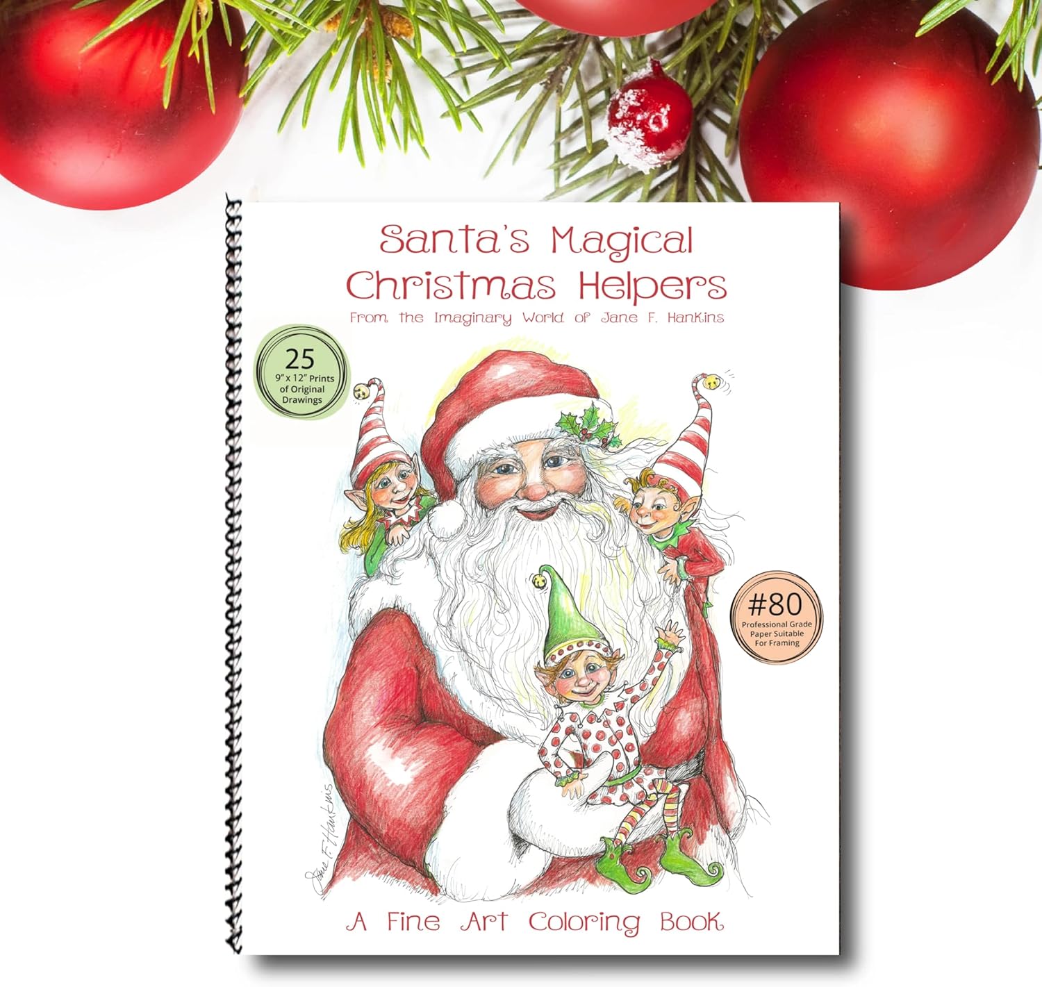 Amazon.com: Santa's Magical Christmas Helpers 9x12 : Home & Kitchen