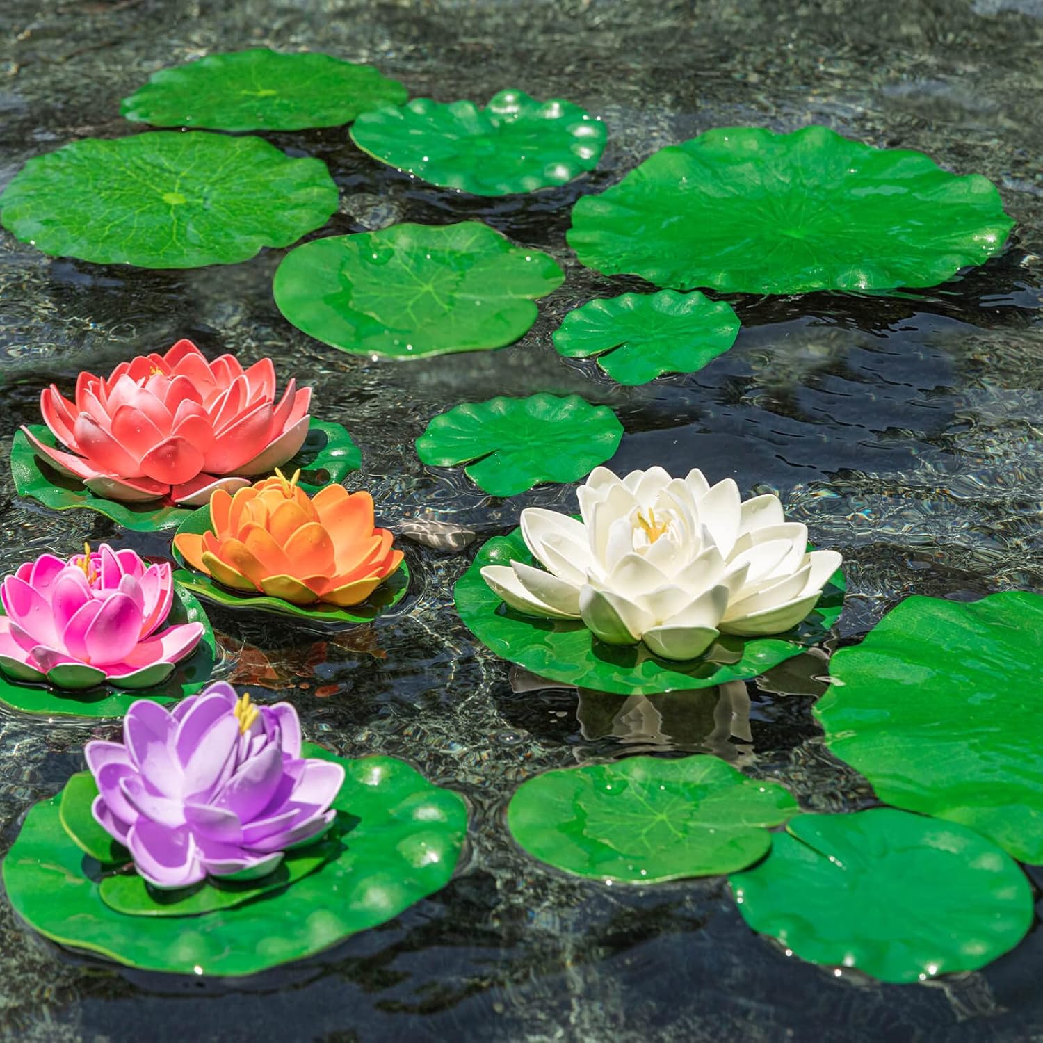 10 Realistic Lily Pads for Ponds & Aquariums Philippines | Ubuy