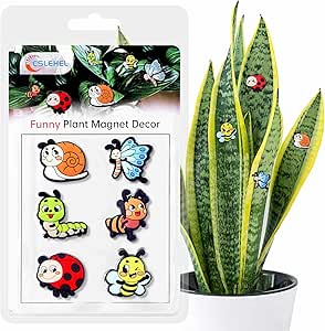 Amazon.com: Plant Magnets Insects for Potted Plants,6 PCS Cute Magnetic ...
