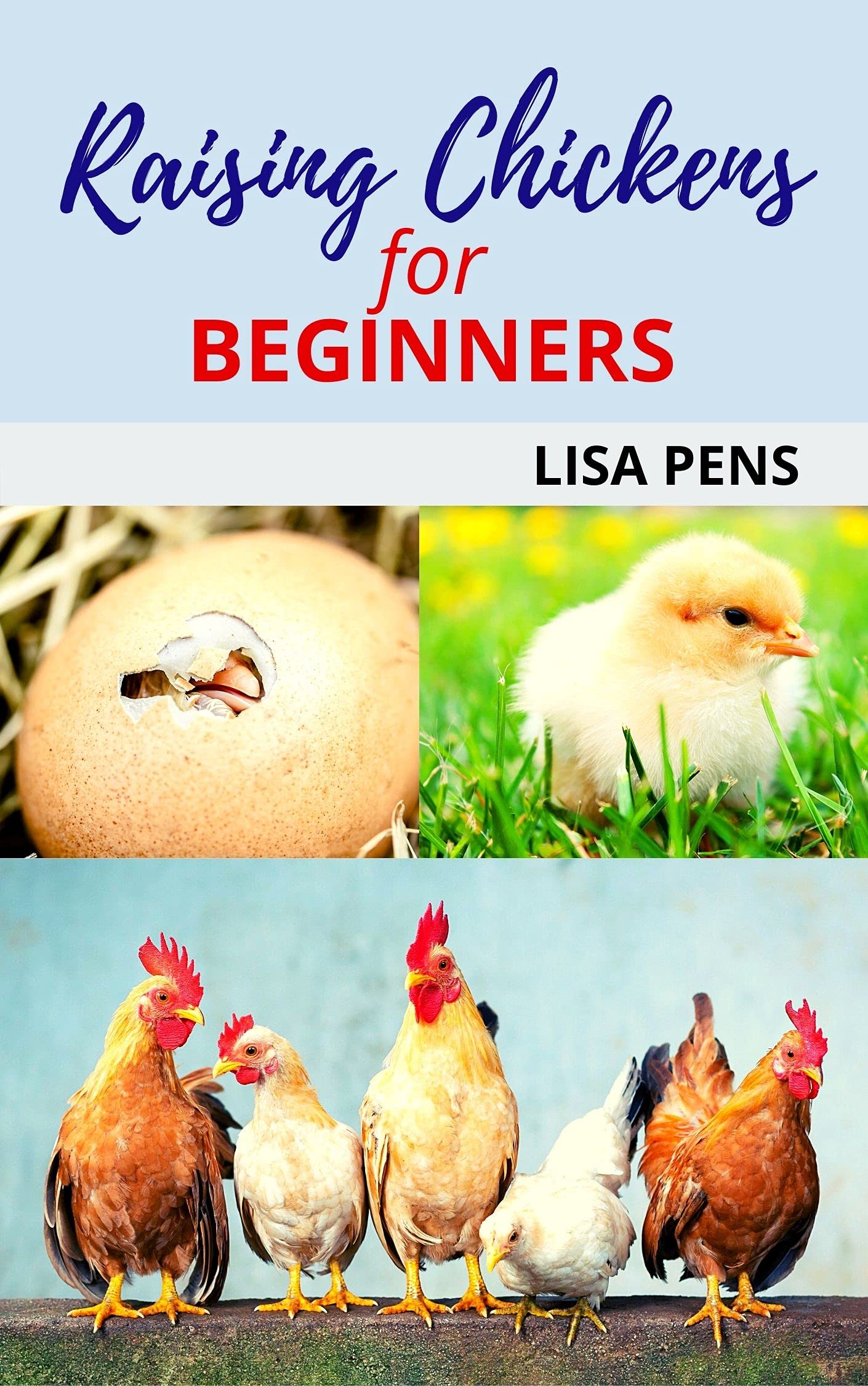 Buy RAISING CHICKENS FOR BEGINNERS The Complete Step By Step Beginners buy-raising-chickens-for-beginners-the-complete-step-by-step-beginners