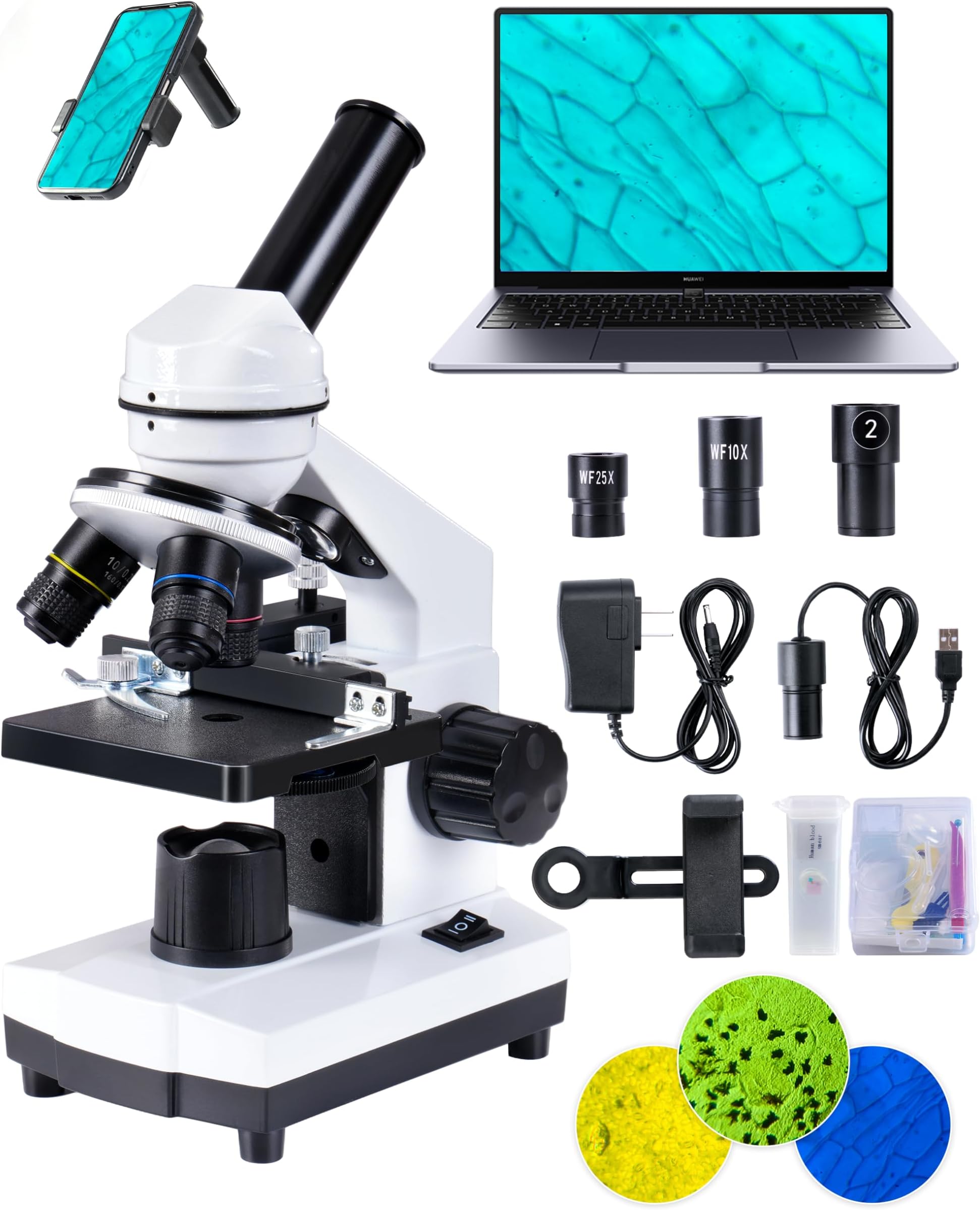 Amazon.com: Rengue Microscope, 40X-2000X Magnification, Dual LED ...