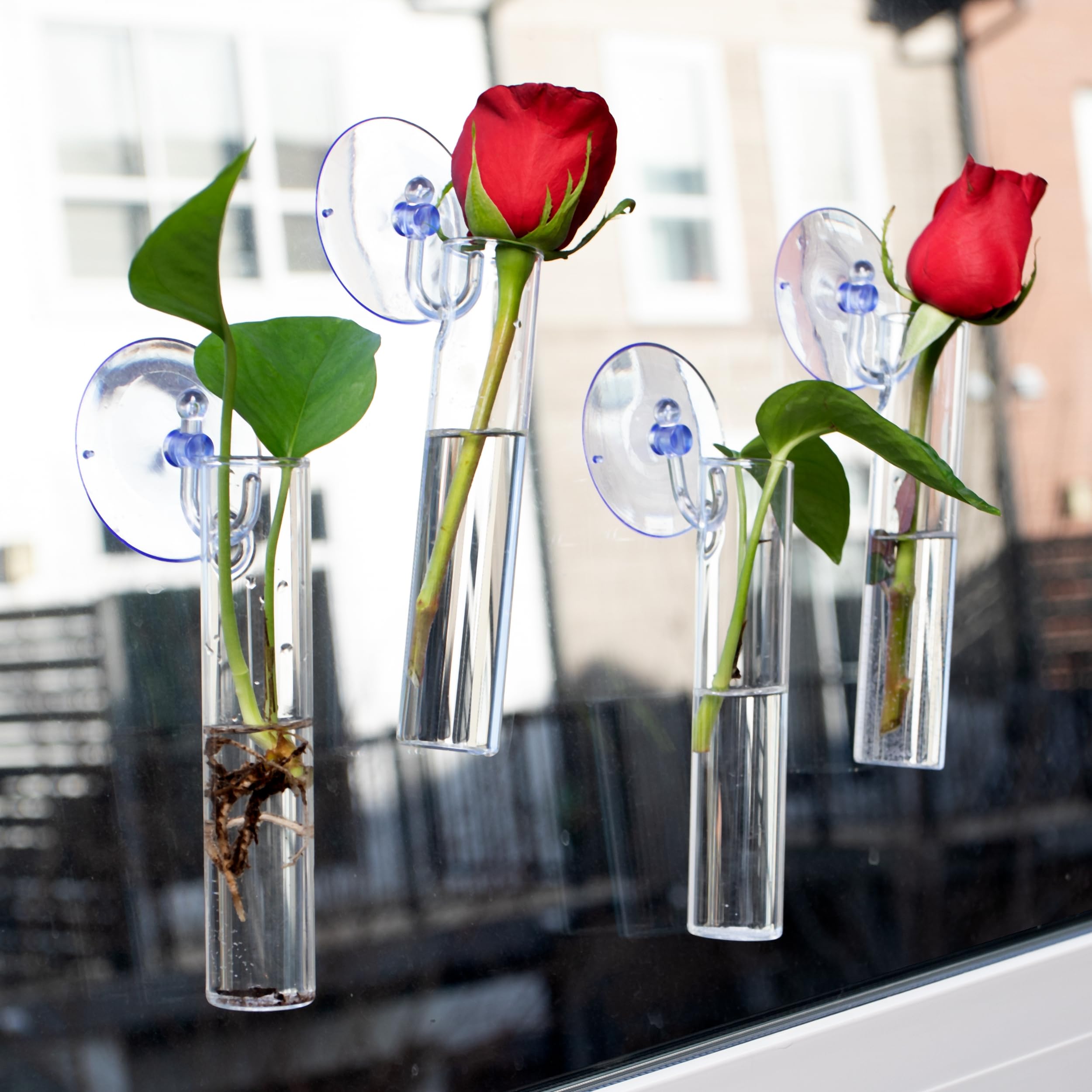 Amazon.com: Window Propagation Stations (Set of 4) | Easy to Install ...