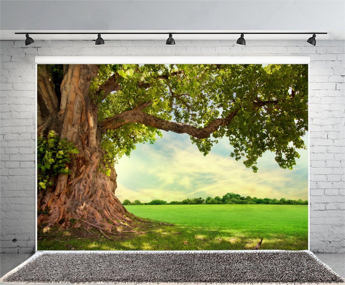 Amazon.com : Leyiyi 6x4ft Spring Garden Photography Background Flower ...