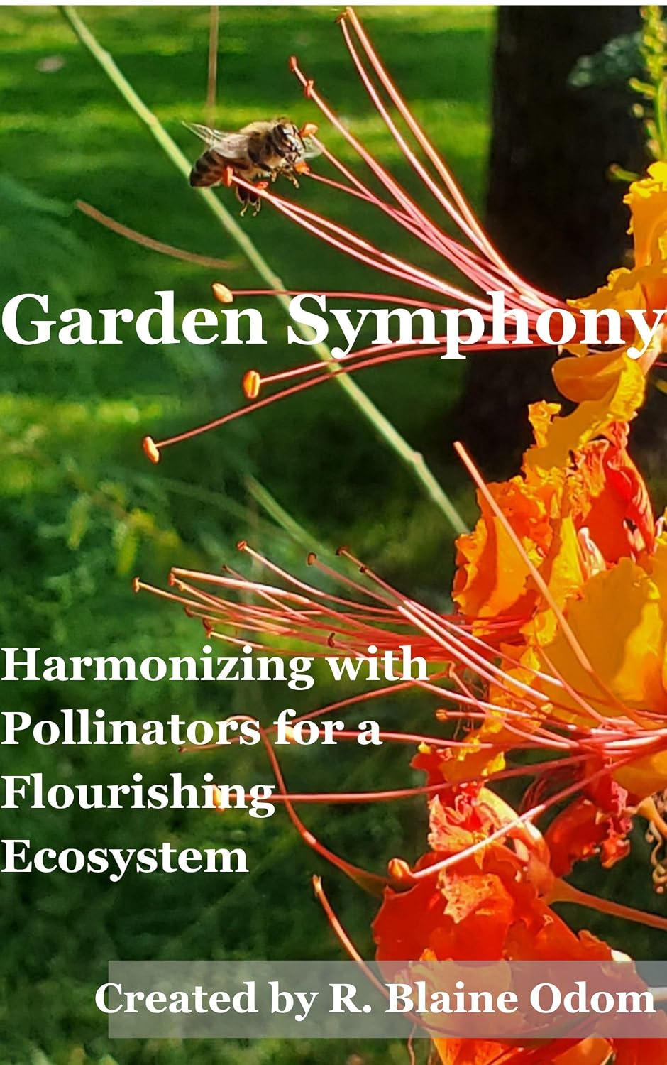 GARDEN SYMPHONY: HARMONIZING WITH POLLINATORS FOR A FLOURISHING ...