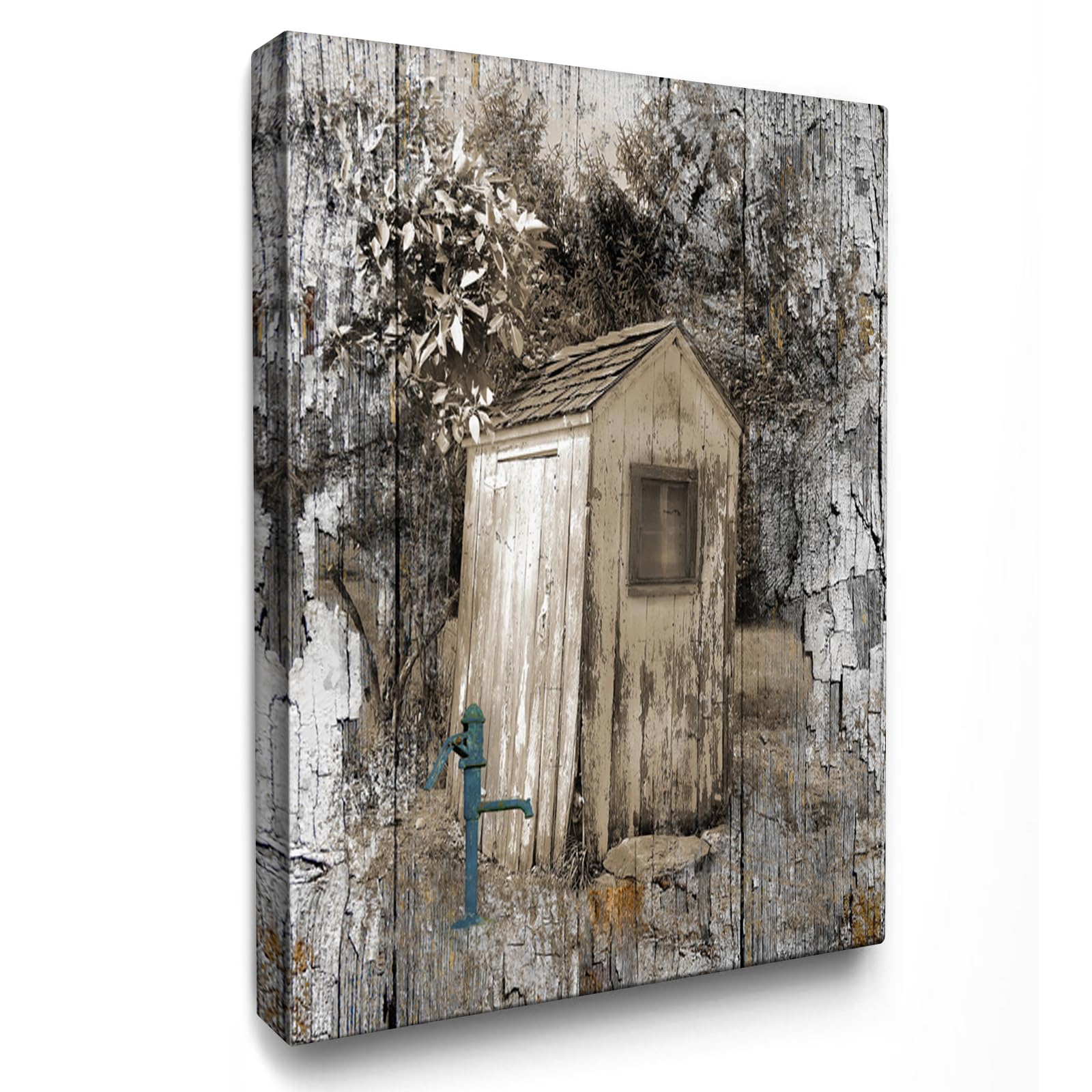 Amazon.com: Luslya Farmhouse Outhouse Wall Art Vintage Outhouse Theme ...