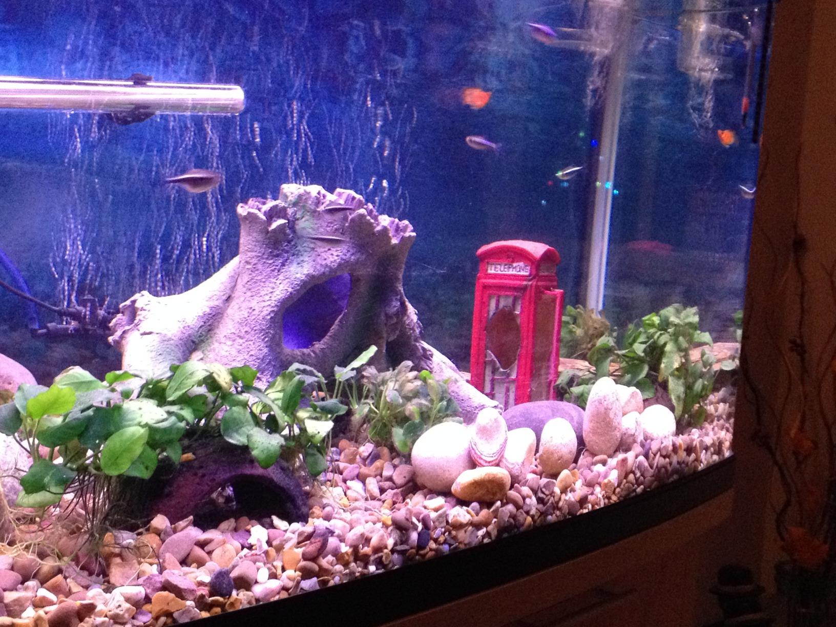 Ellie-Bo Telephone Box 10.5 x 9 x 19cm Handpainted Polyresin Aquarium ...