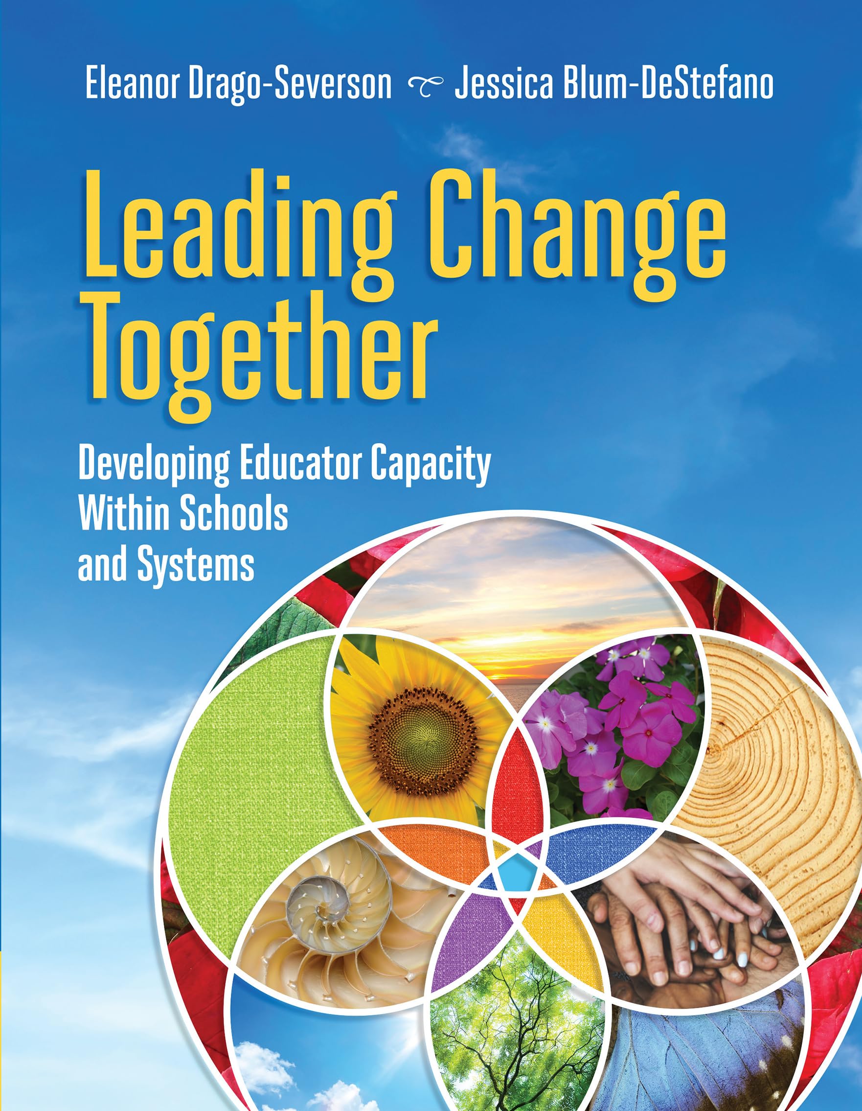Leading Change Together: Developing Educator Capacity Within Schools ...