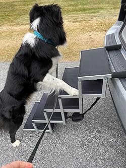 Ruff Ramp® An Outdoor Dog Ramp For Staircases!, 58% OFF