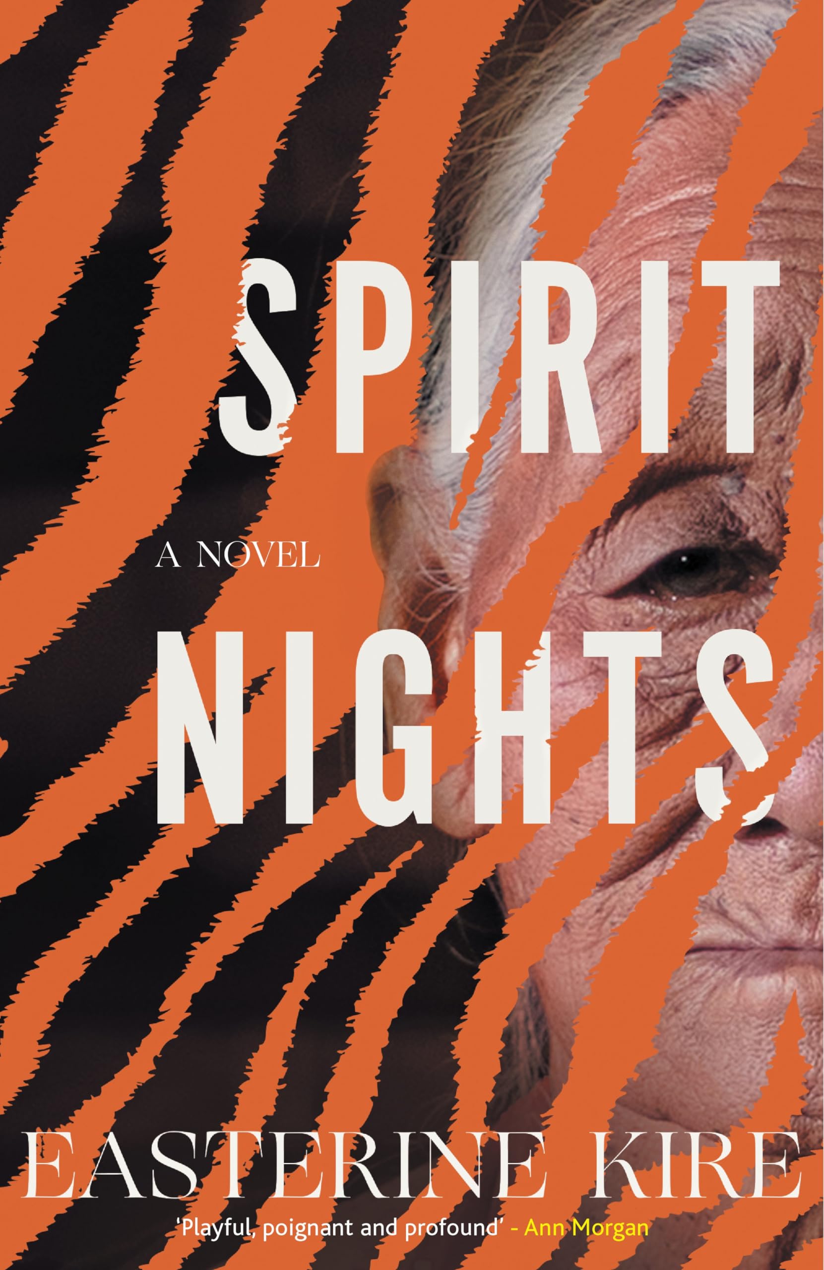 Buy Spirit Nights Book Online at Low Prices in India | Spirit Nights ...