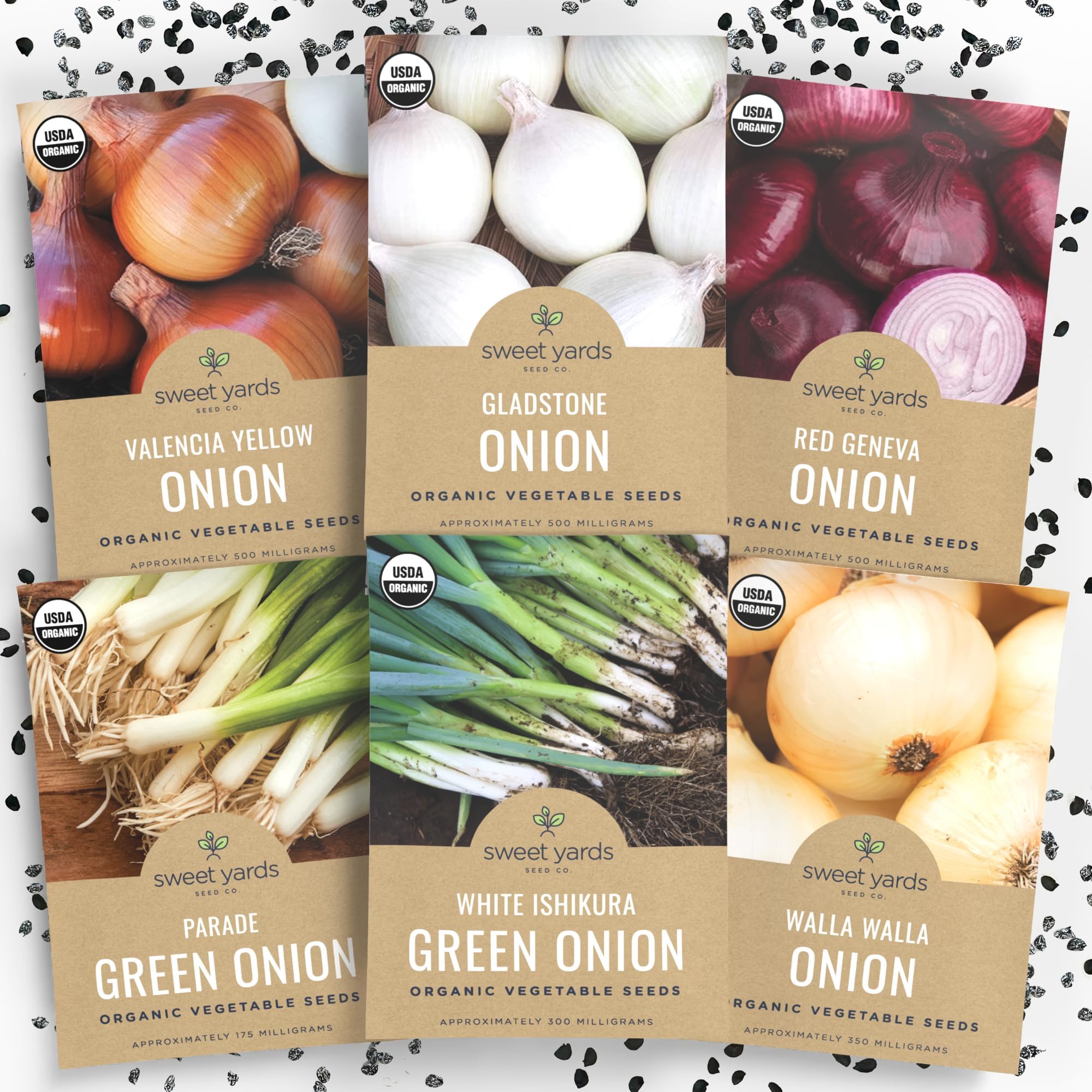 Amazon.com : Camelot Shallots Seeds (20+ Seeds) | Non GMO | Vegetable ...