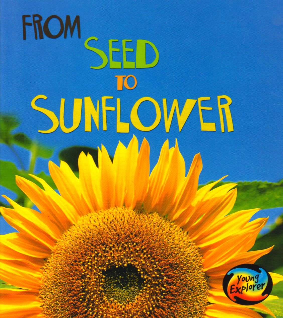 From Seed to Sunflower (How Living Things Grow): Amazon.co.uk: Ganeri ...