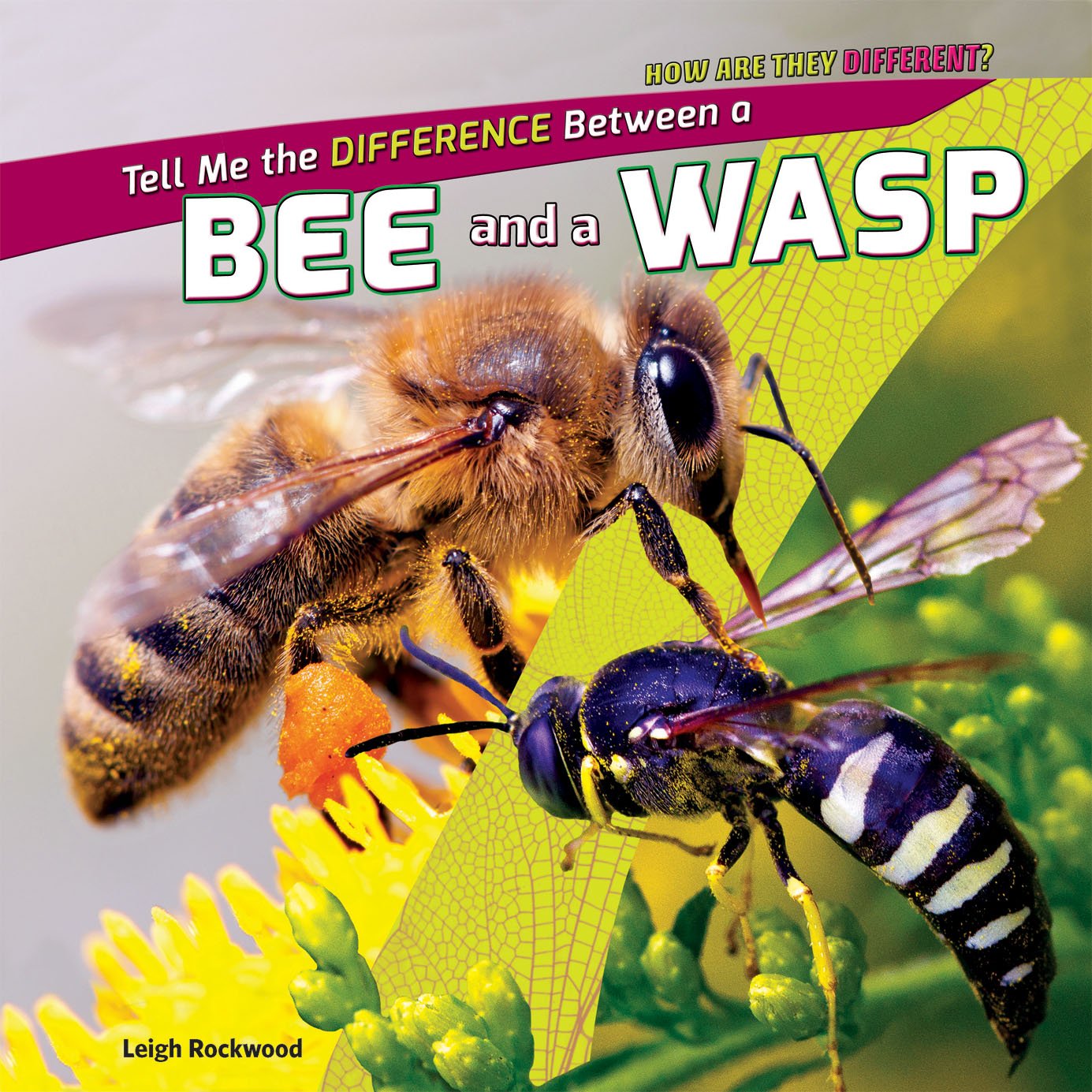 Buy Tell Me the Difference Between a Bee and a Wasp (How Are They ...