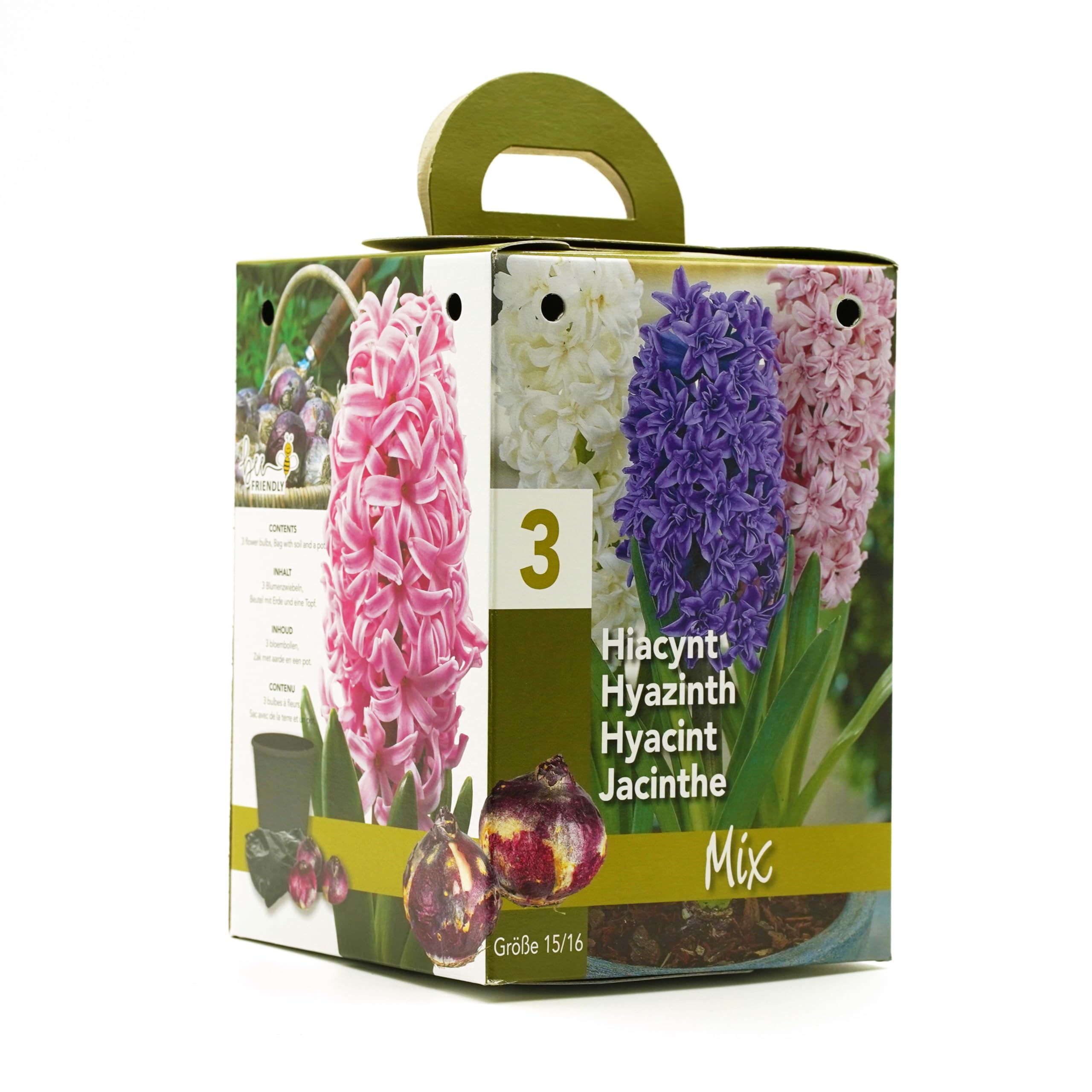 Mixed Hyacinth Gift Box | Complete Growing Kit with 3 Mixed Colour ...
