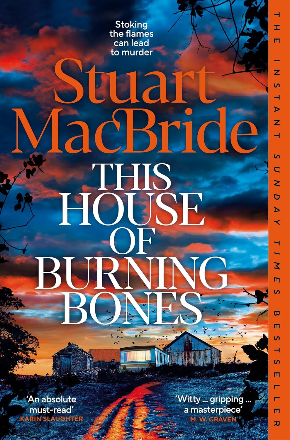 Amazon.com: This House of Burning Bones: 9781035064878: MacBride ...