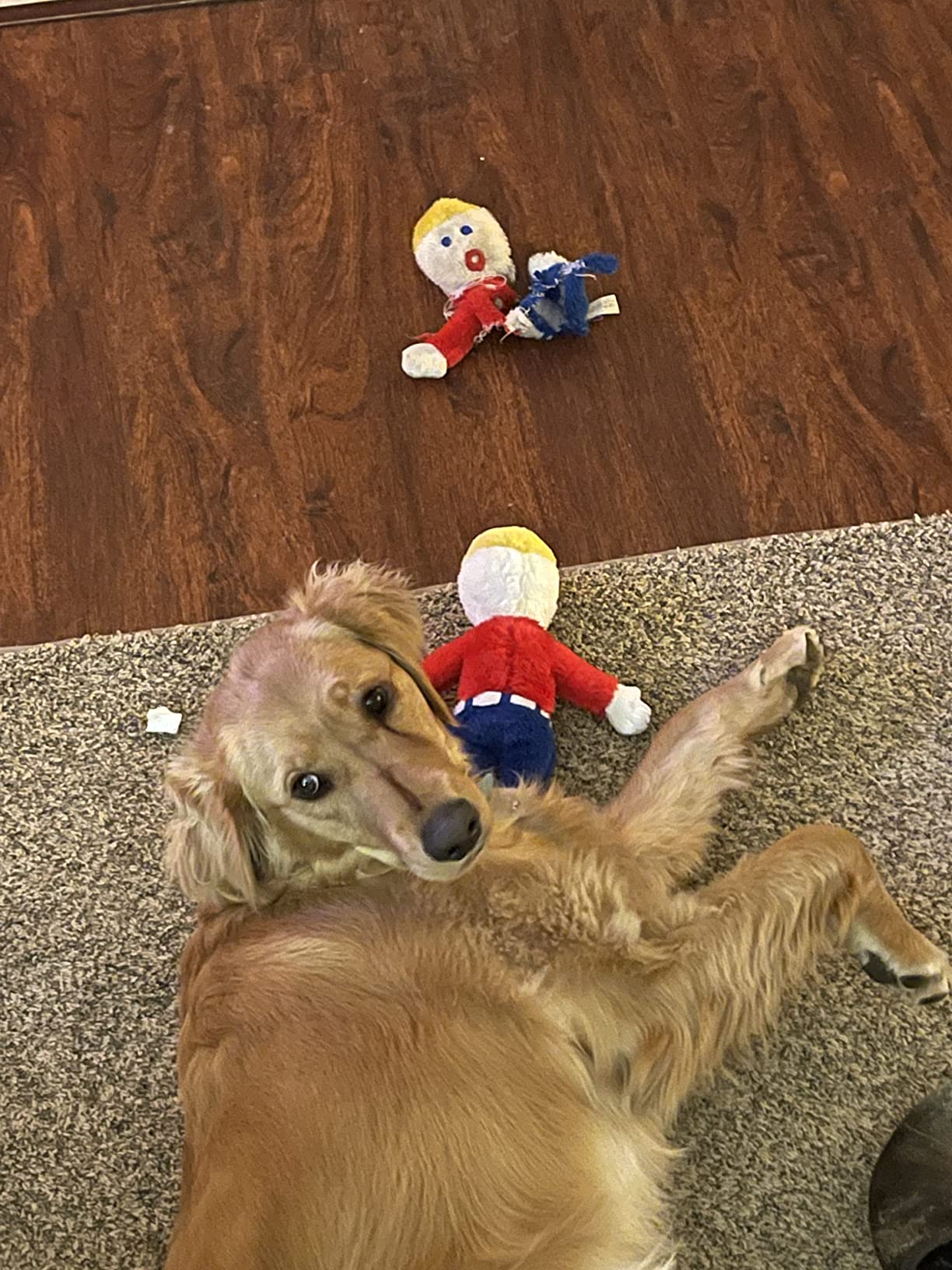 $1/mo - Finance Multipet Mr. Bill Plush Toy, Model 16715, Red, 3 inches ...