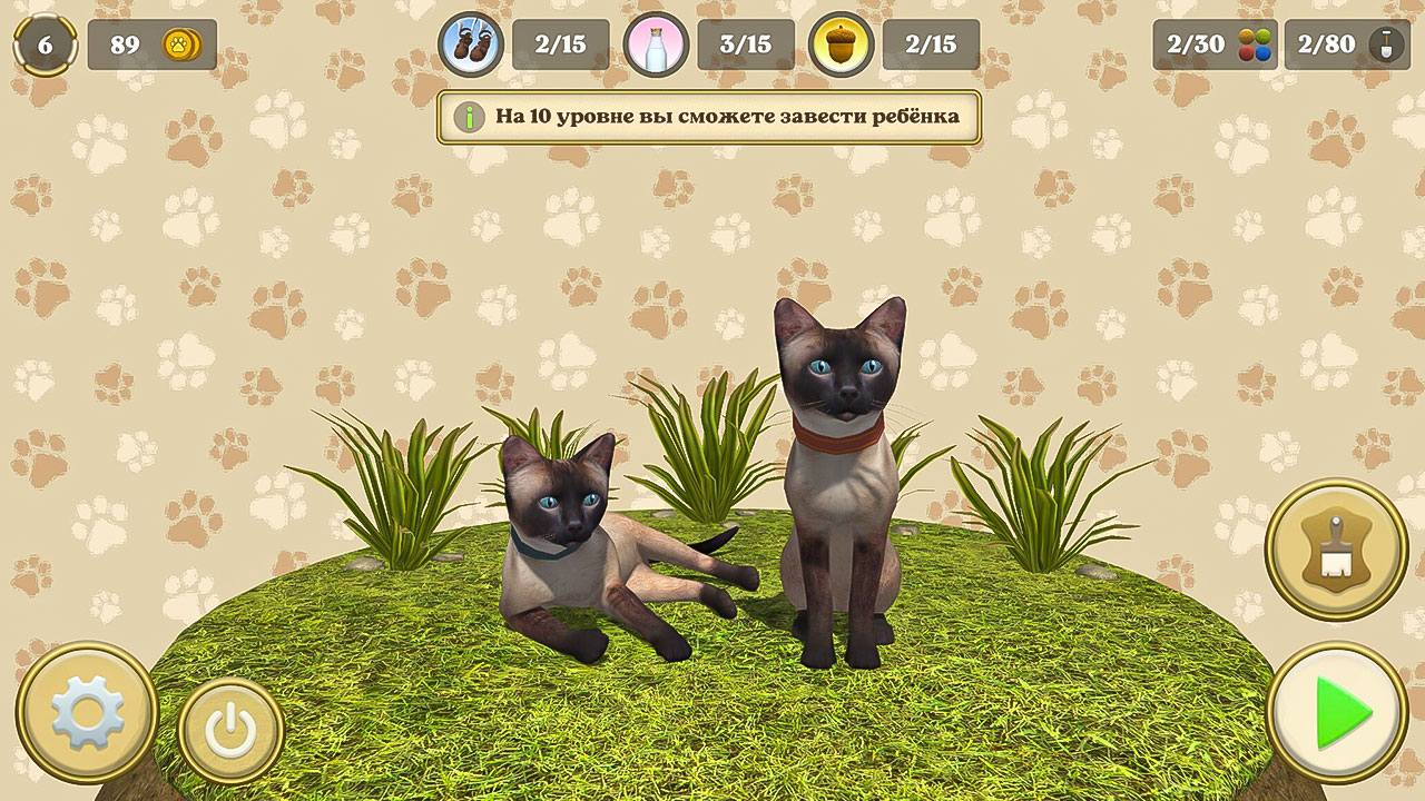 Cat Simulator 3D Games: Kitty Adventure Games 2024 - App on Amazon Appstore
