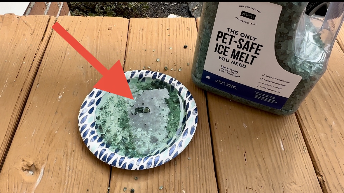 Watch Pet Safe Ice Melt Experiment Phase 2 - Did It Melt?? on Amazon Live