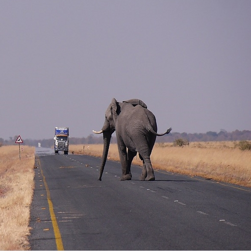 Masgor:Amazon.com:Appstore for Android