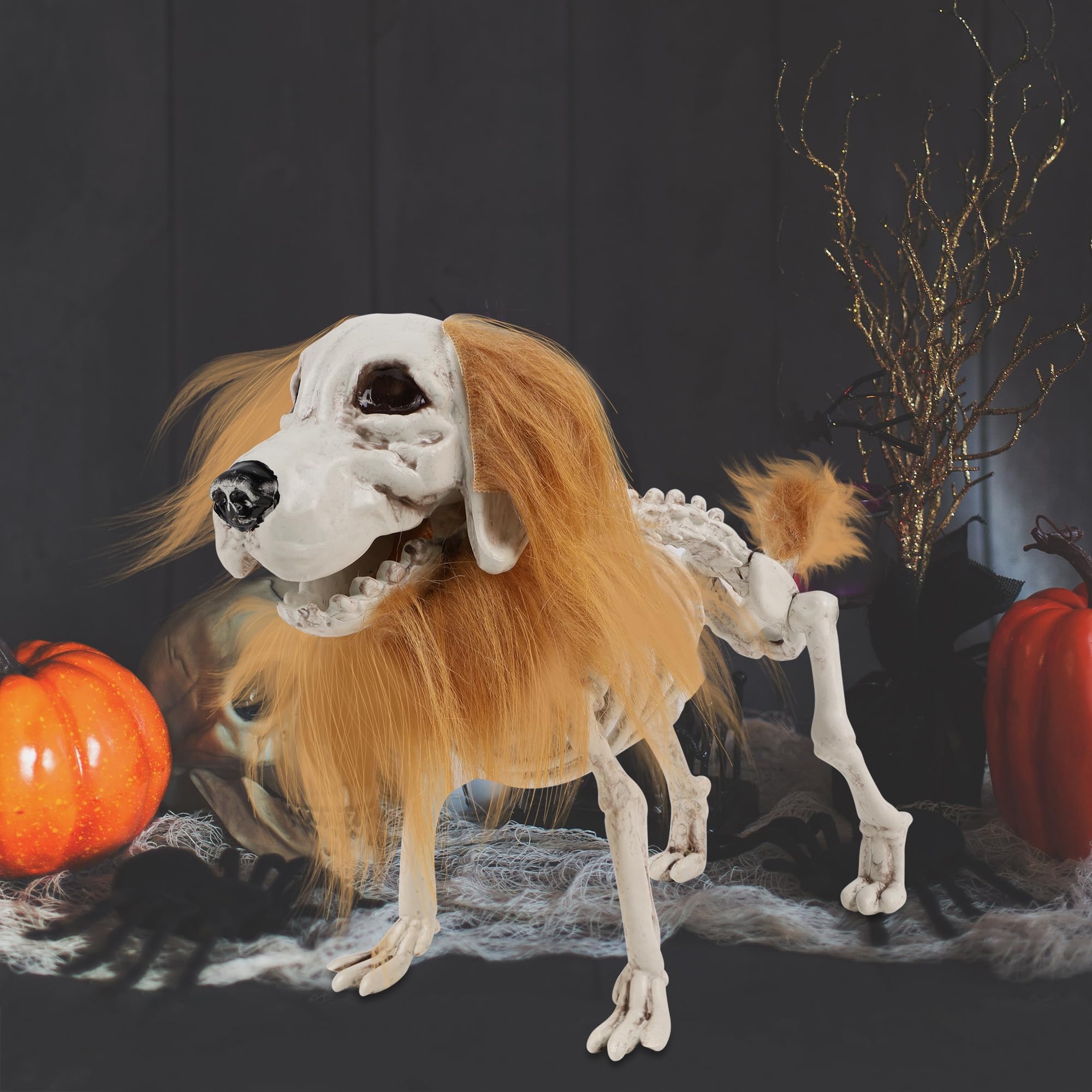 Amazon.com: DR.DUDU Halloween Skeleton Dog Decorations, Skeletons ...