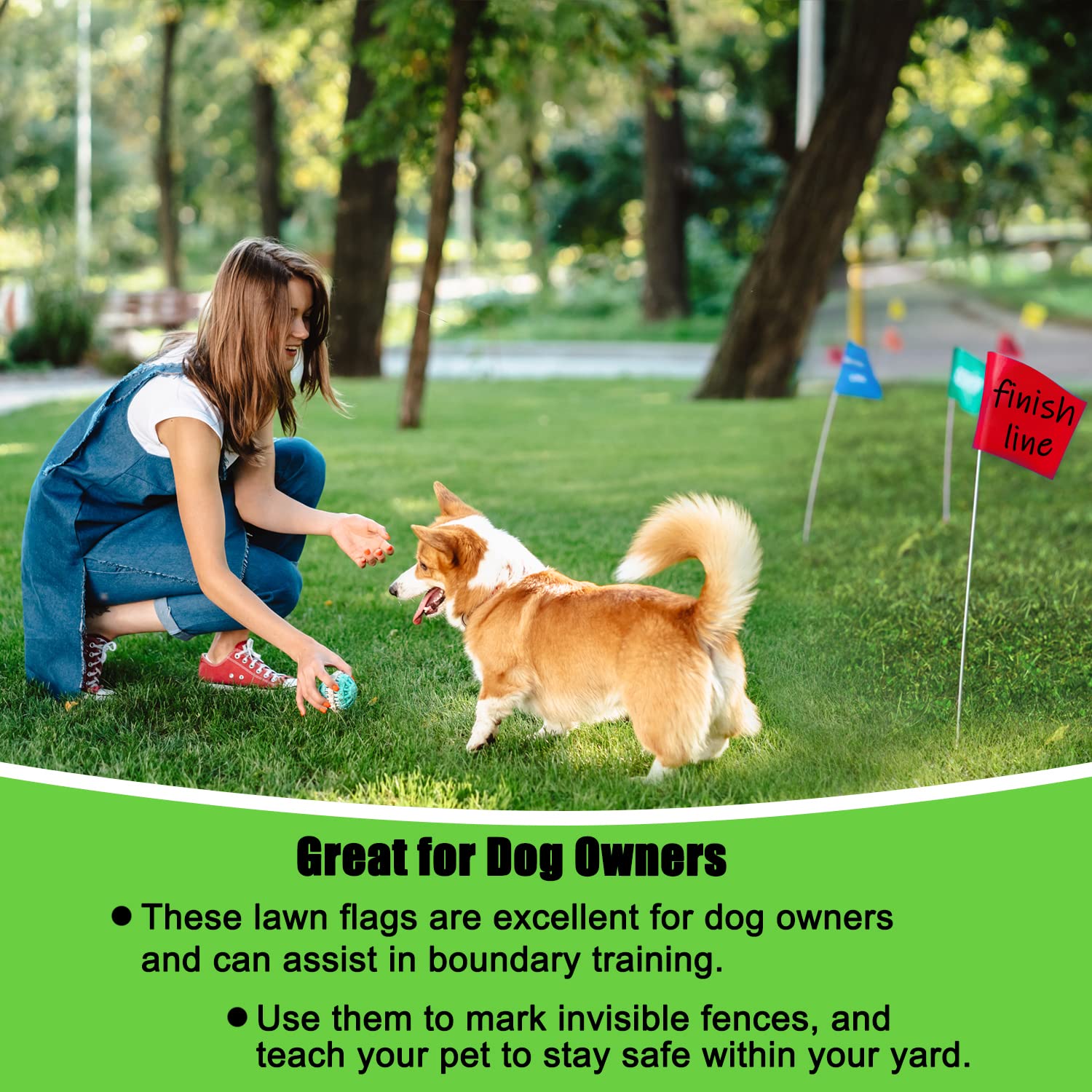 Snapklik.com : Zozen 100 Pack Marking Flags, Red&Green&Blue, Marker ...