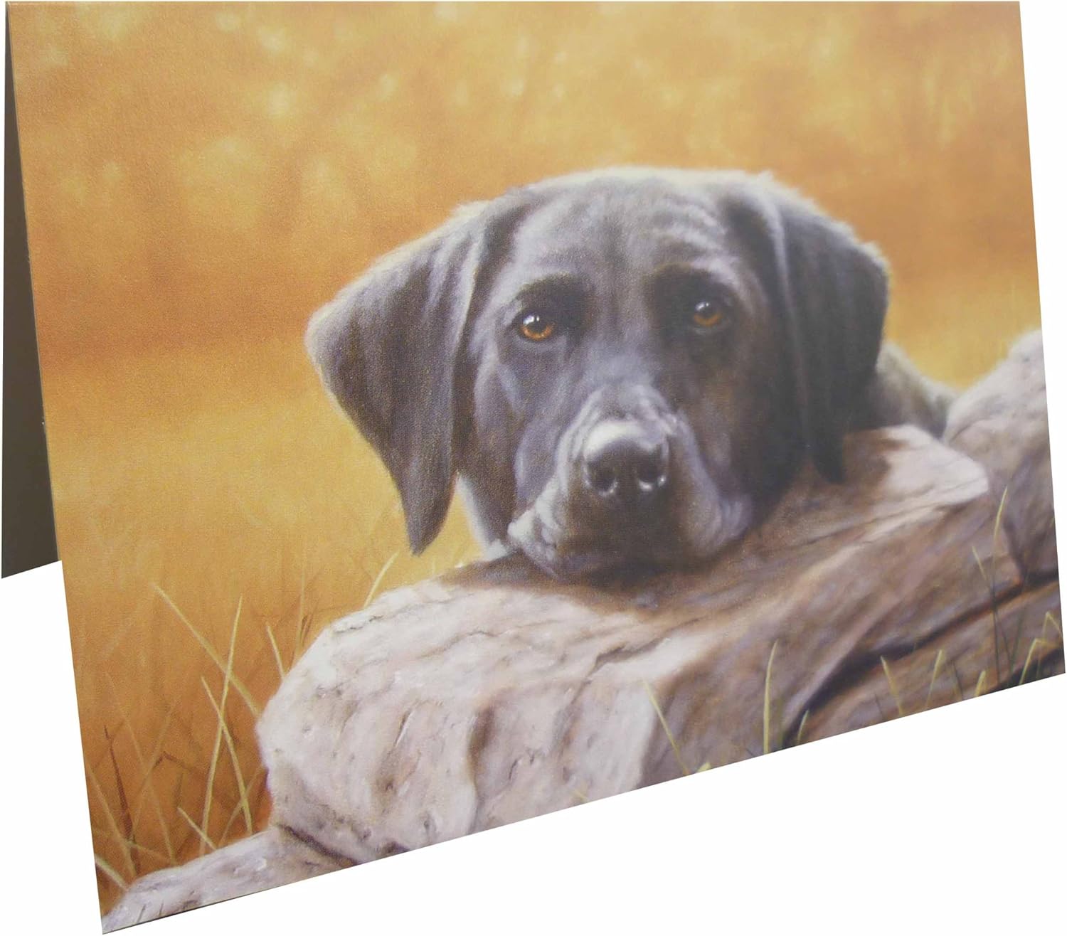 Black Labrador Notecards (pack of 10) : Amazon.co.uk: Stationery ...