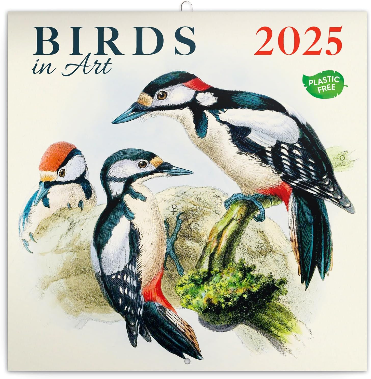 Amazon.com: Calendar 2024-2025, Birds Wall Calendar, Monthly Calendar ...
