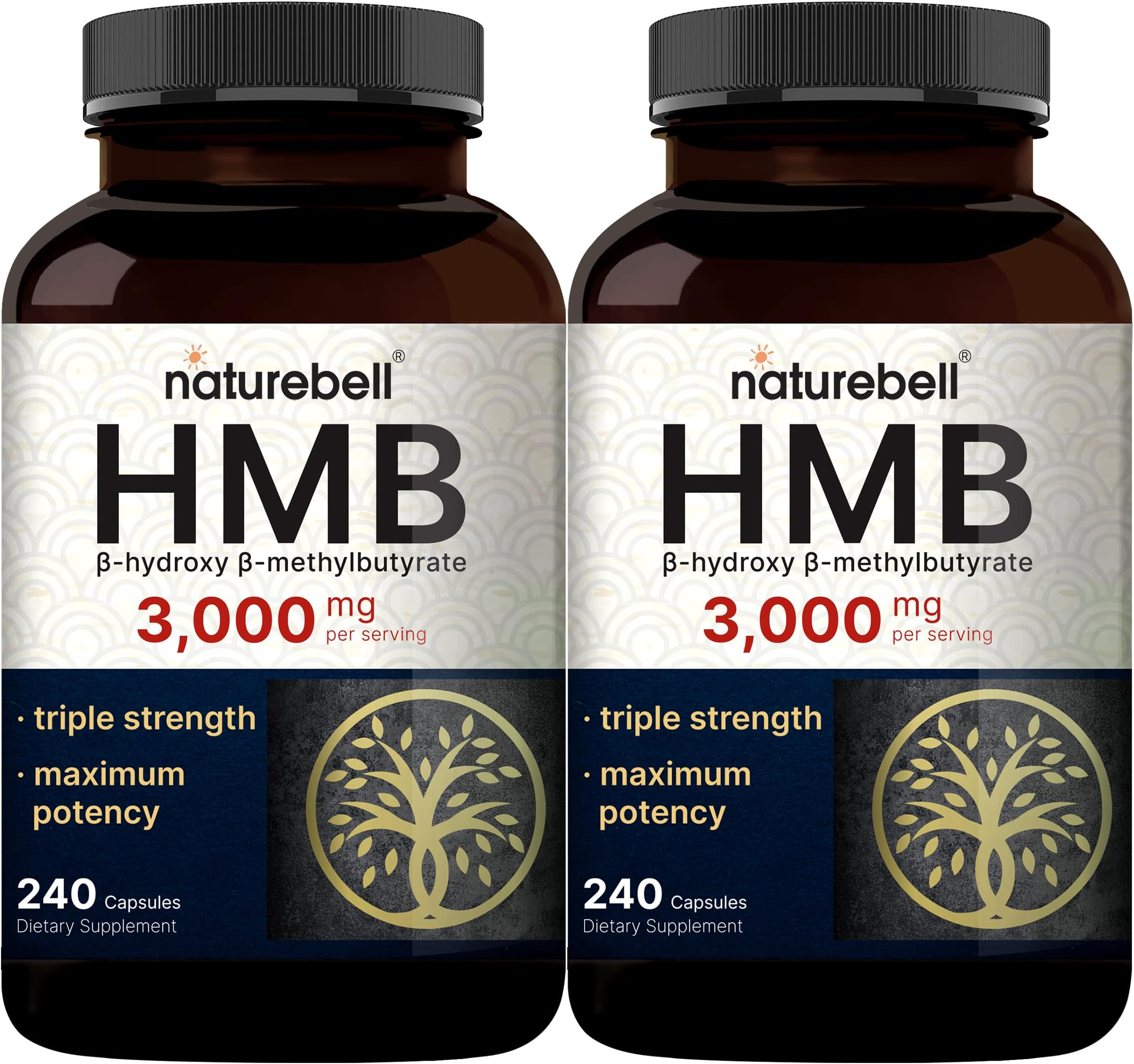 Amazon.com: ALLMAX HMB 3000 (120 Veggie Capsules) - Supports Muscle ...