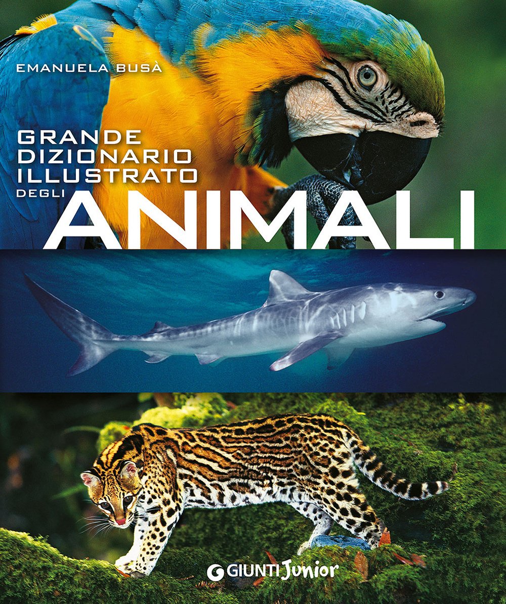 Grande dizionario illustrato degli animali : Busà, Emanuela: Amazon.it ...