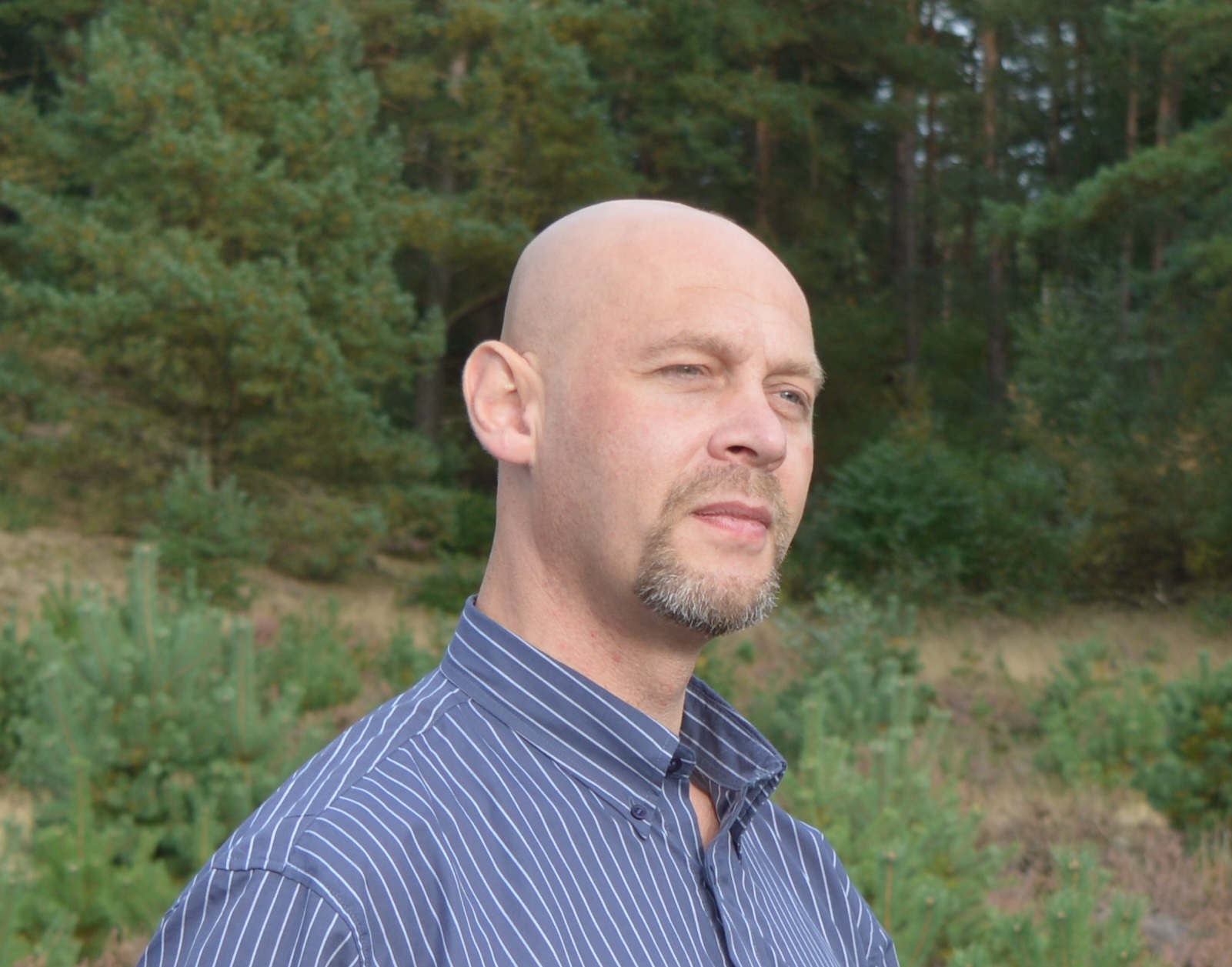 Amazon.in: Steve Calvert: books, biography, latest update