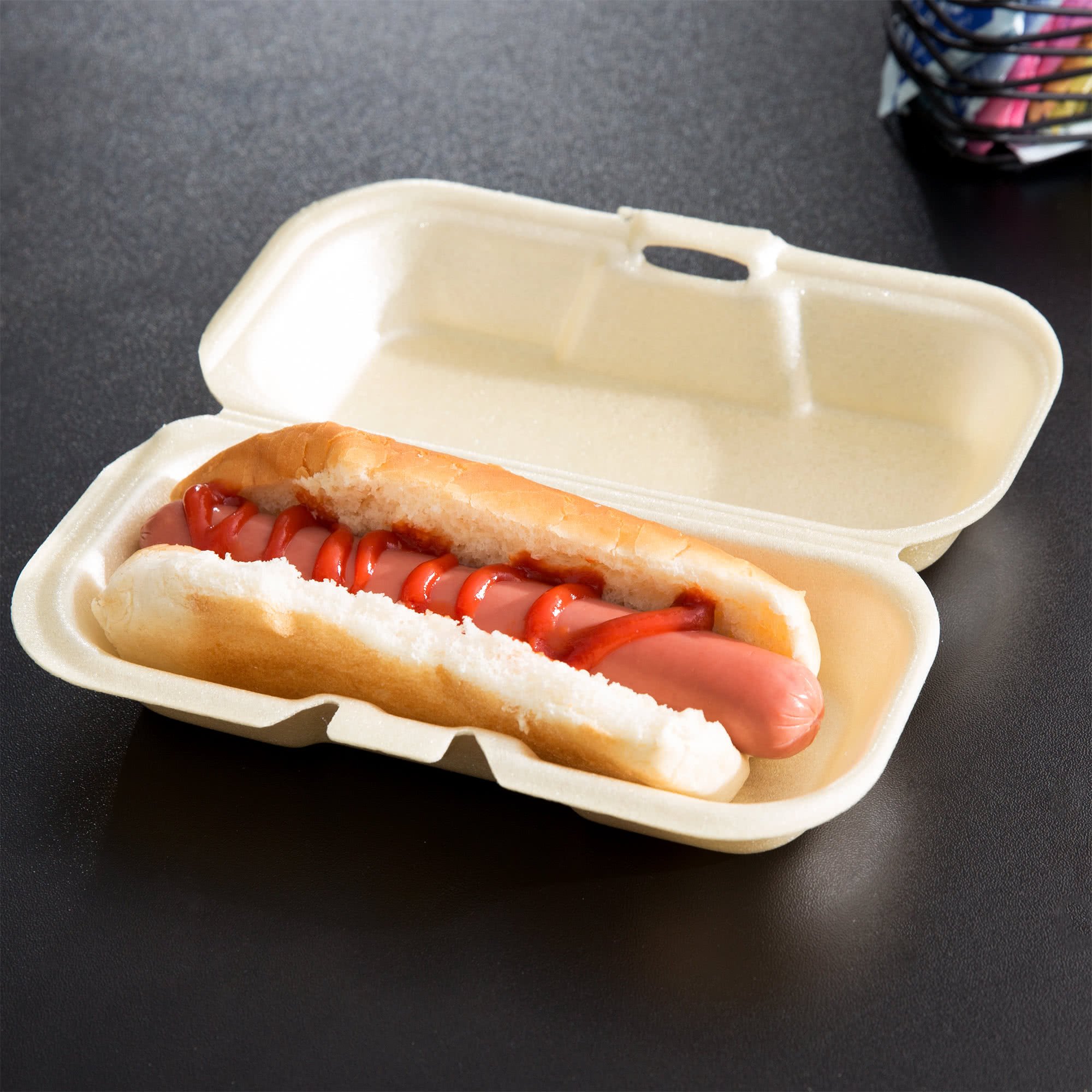 Buy TOTAL HOME White Medium Foam Hinged Lid Foam hot Dog Container Veg ...