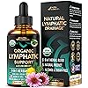 Amazon.com: NATURES BLAST Lymph Go - Pineapple Lymphatic Support ...