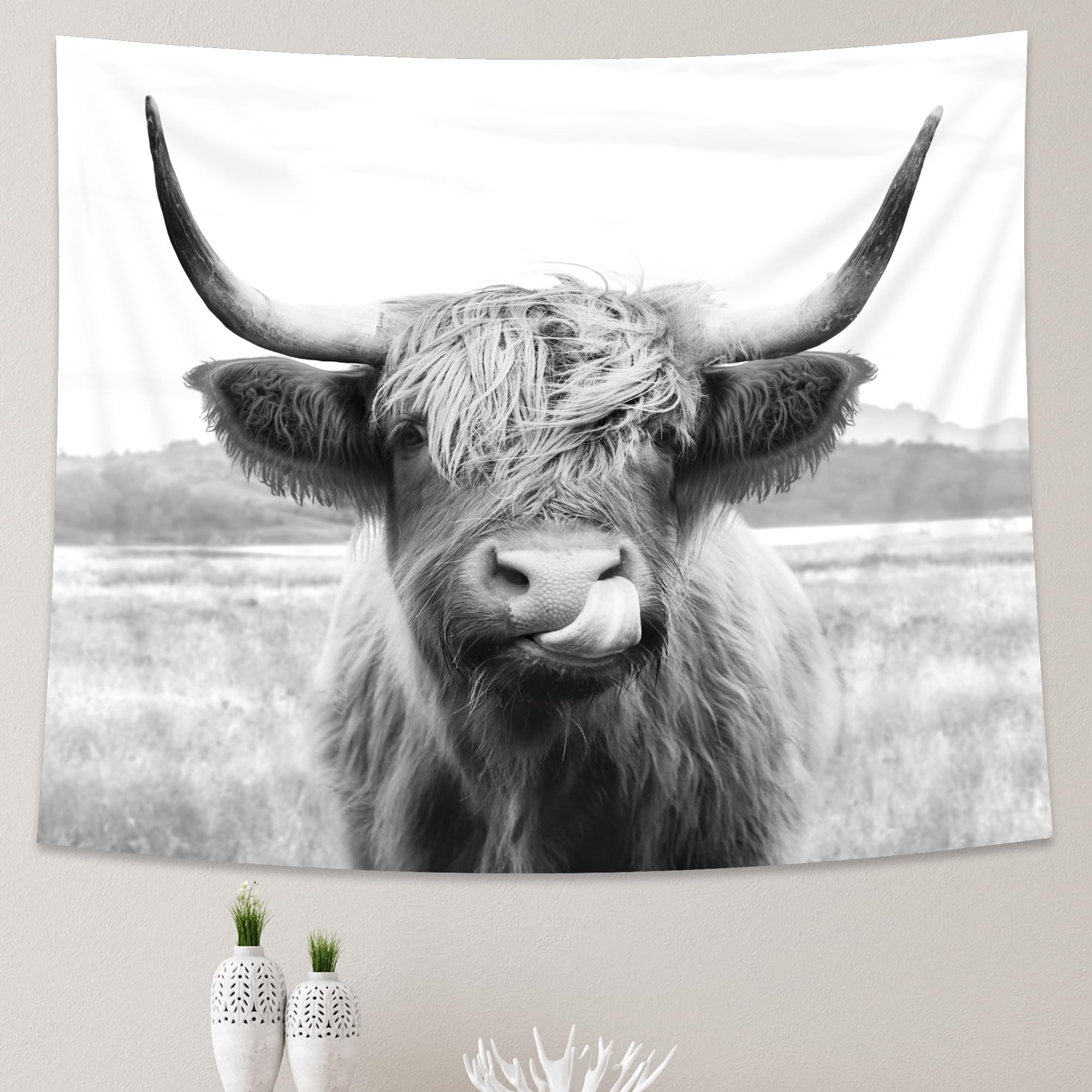 Funny Bull Pictures