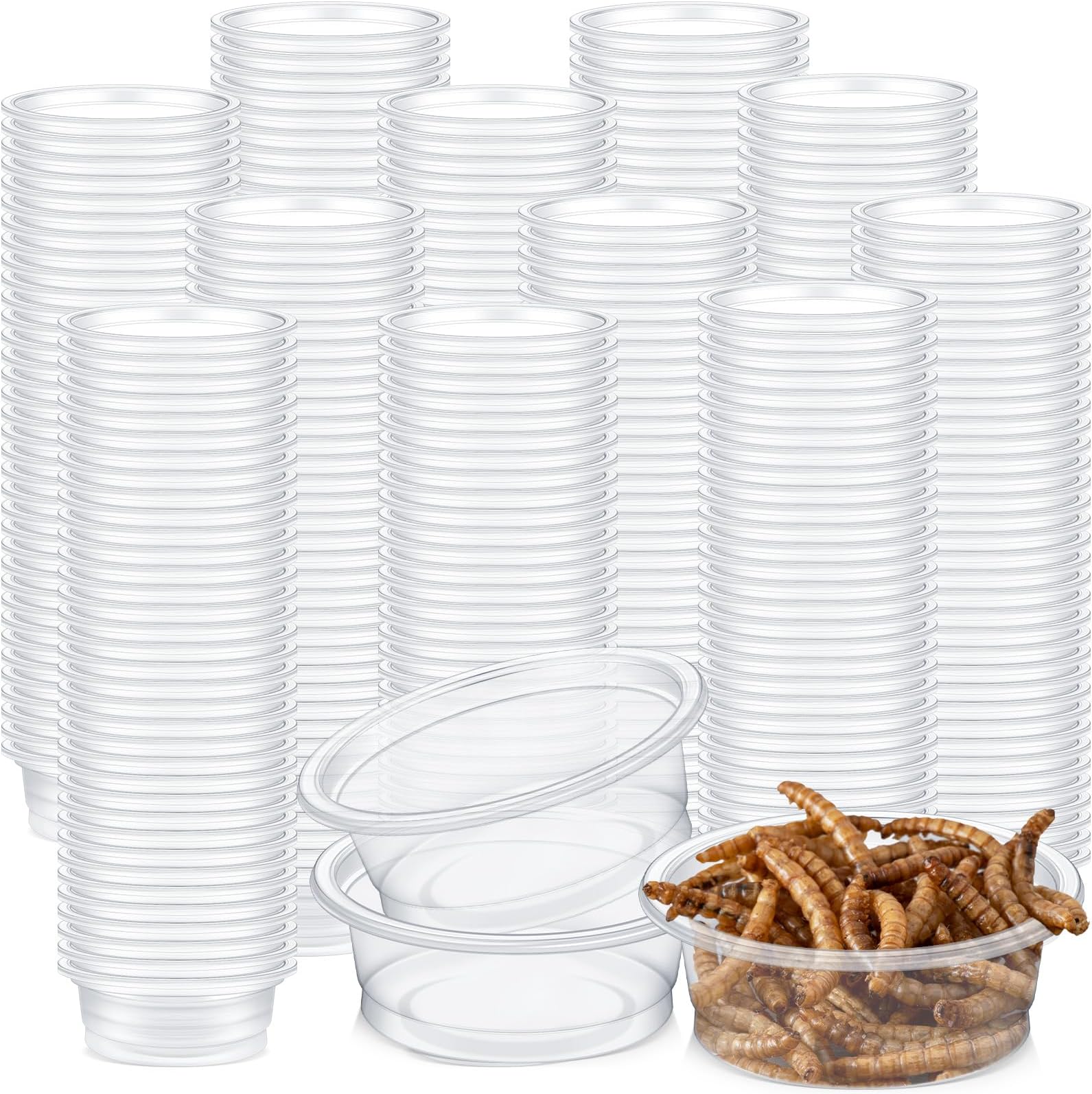Amazon.com : Maxcheck 1000 Pcs 0.5 oz Gecko Feeding Cups Small Gecko ...