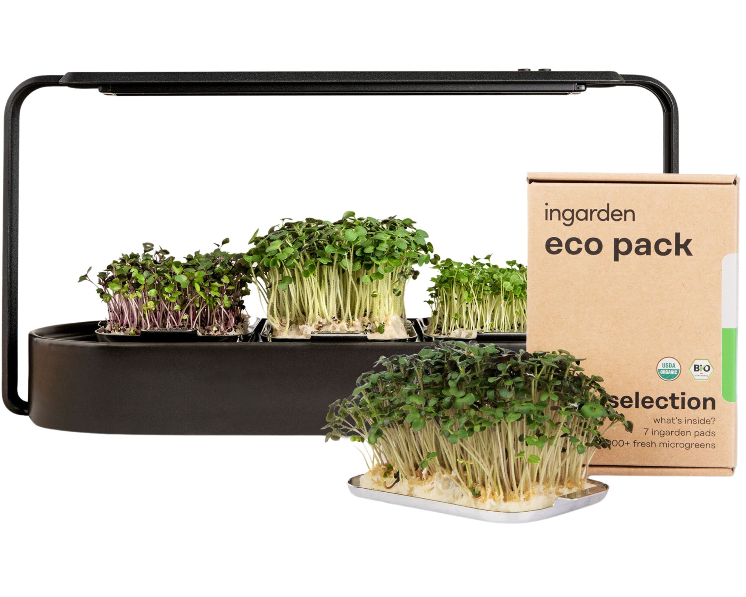Amazon.com : 1 ingarden Black + 2-Months of Microgreen Seed Pads ...