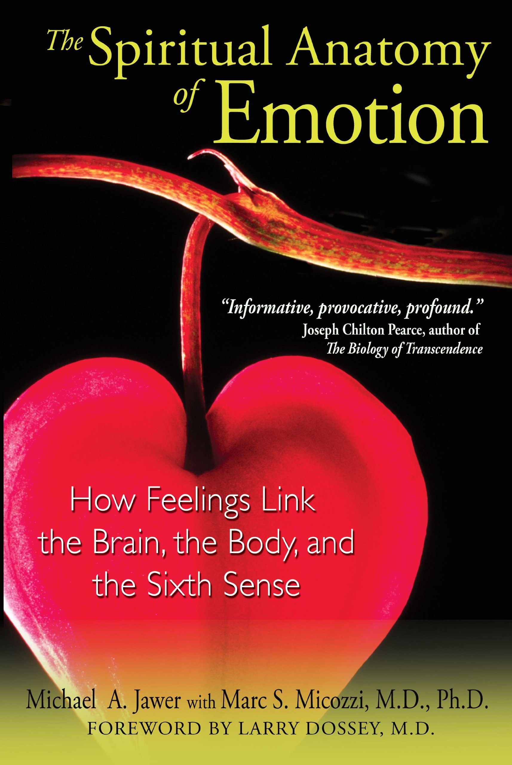 Buy The Spiritual Anatomy of Emotion: How Feelings Link the Brain, the ...