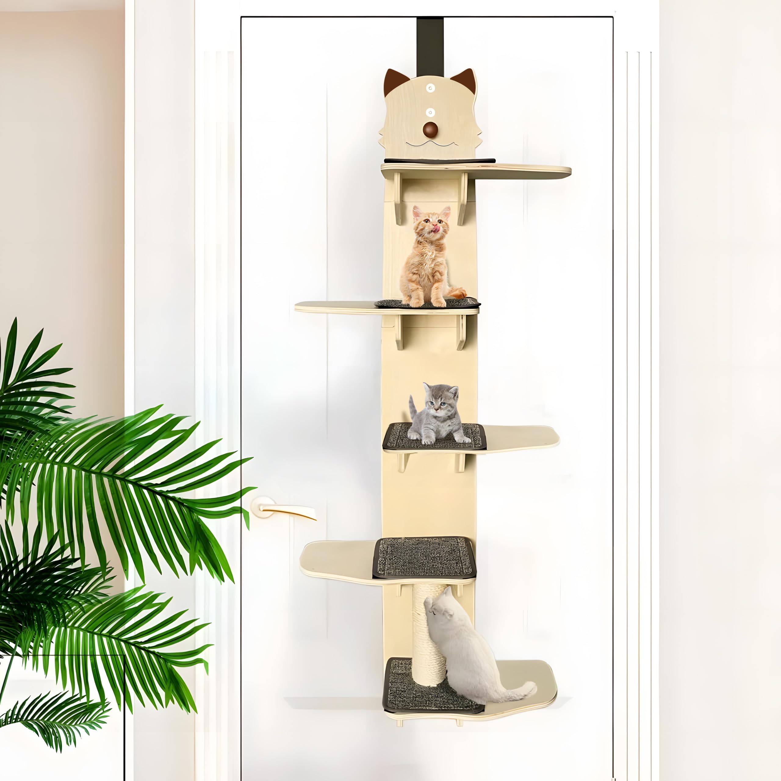 Amazon.com : 5-Levels Door Hanging Cat Climber, Door-Mounted Vertical ...