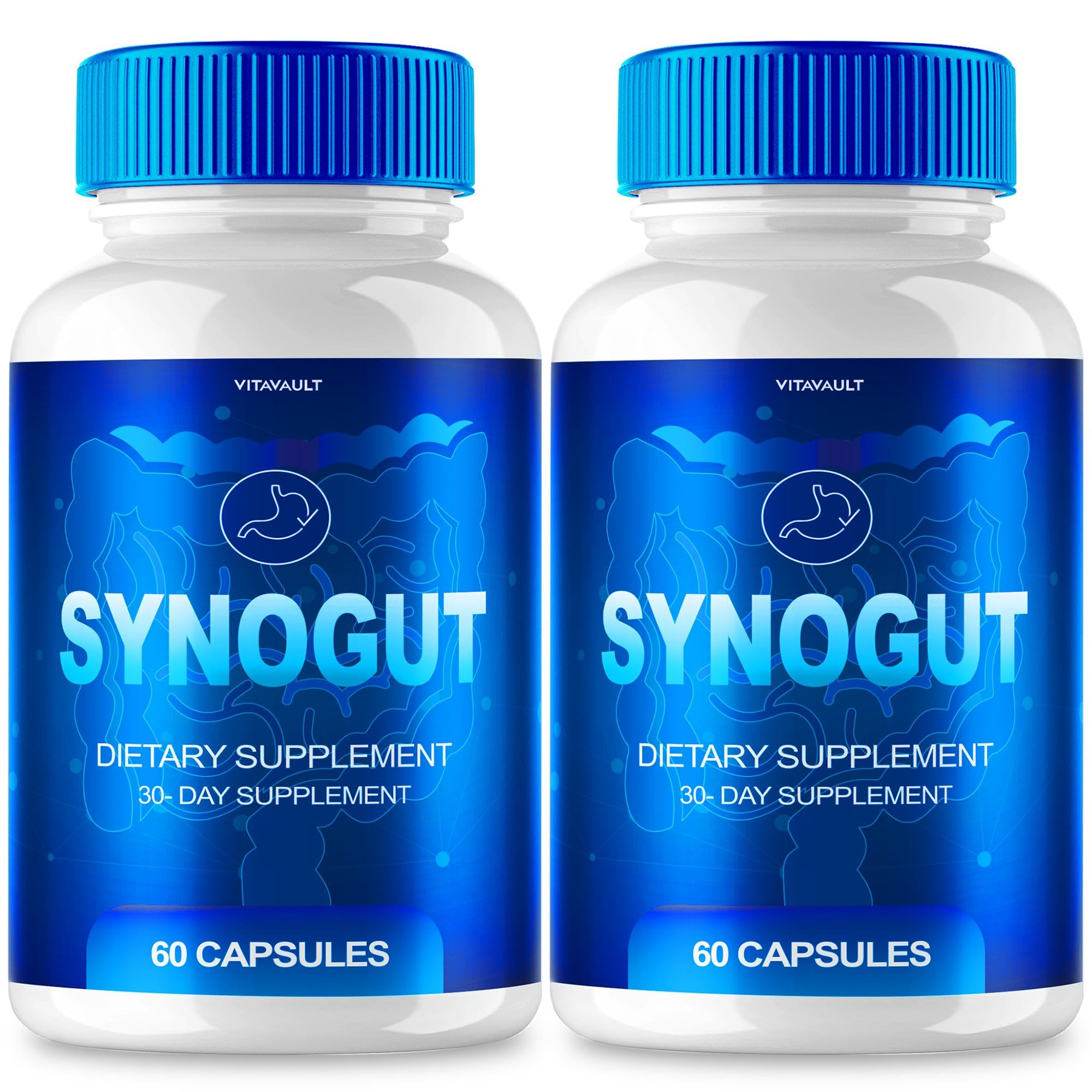 Amazon.com: Vitavault (2 Pack) Synogut Digestive Health Support, 120 ...