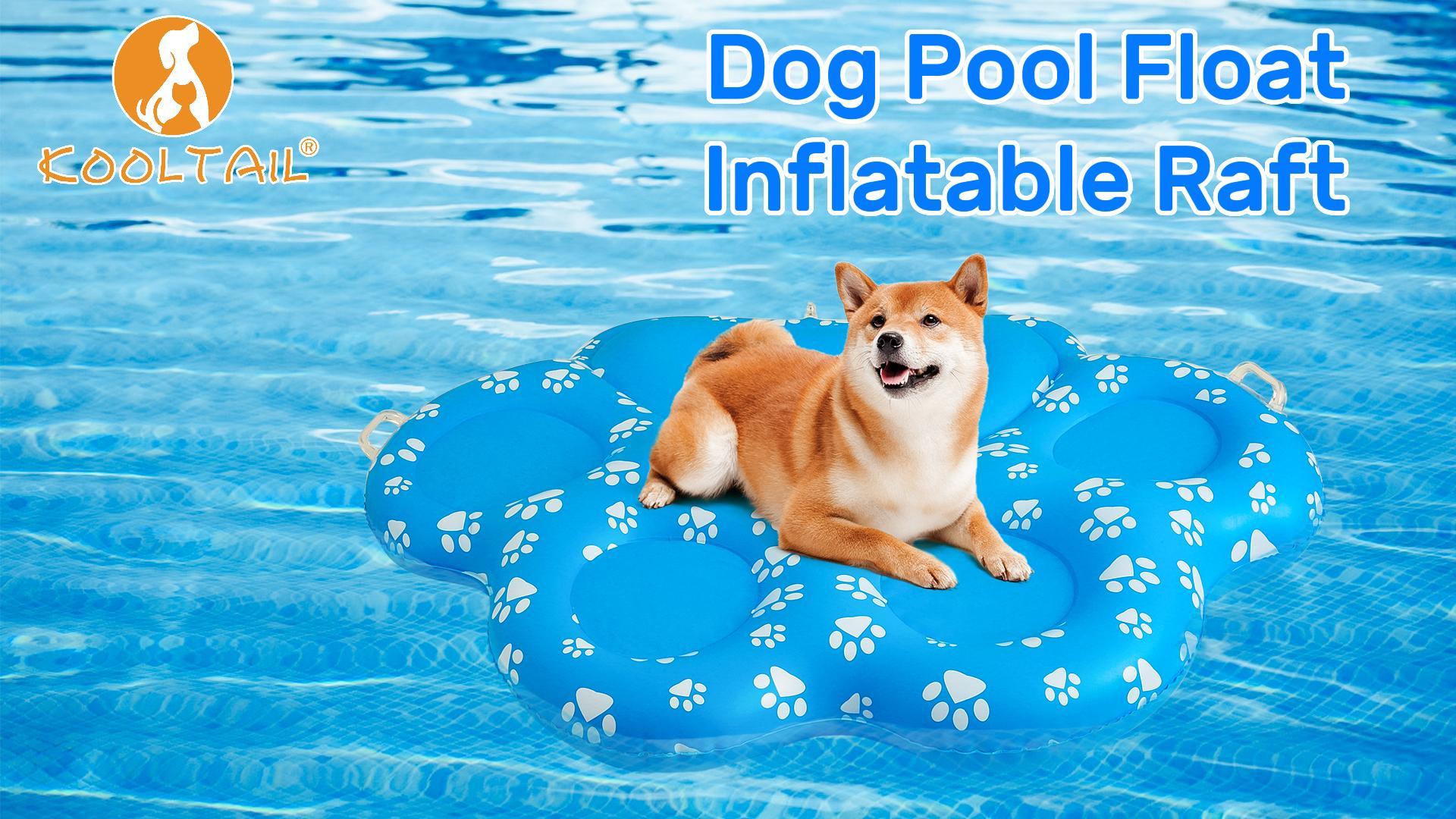 Watch Dog Pool Float Inflatable Raft on Amazon Live