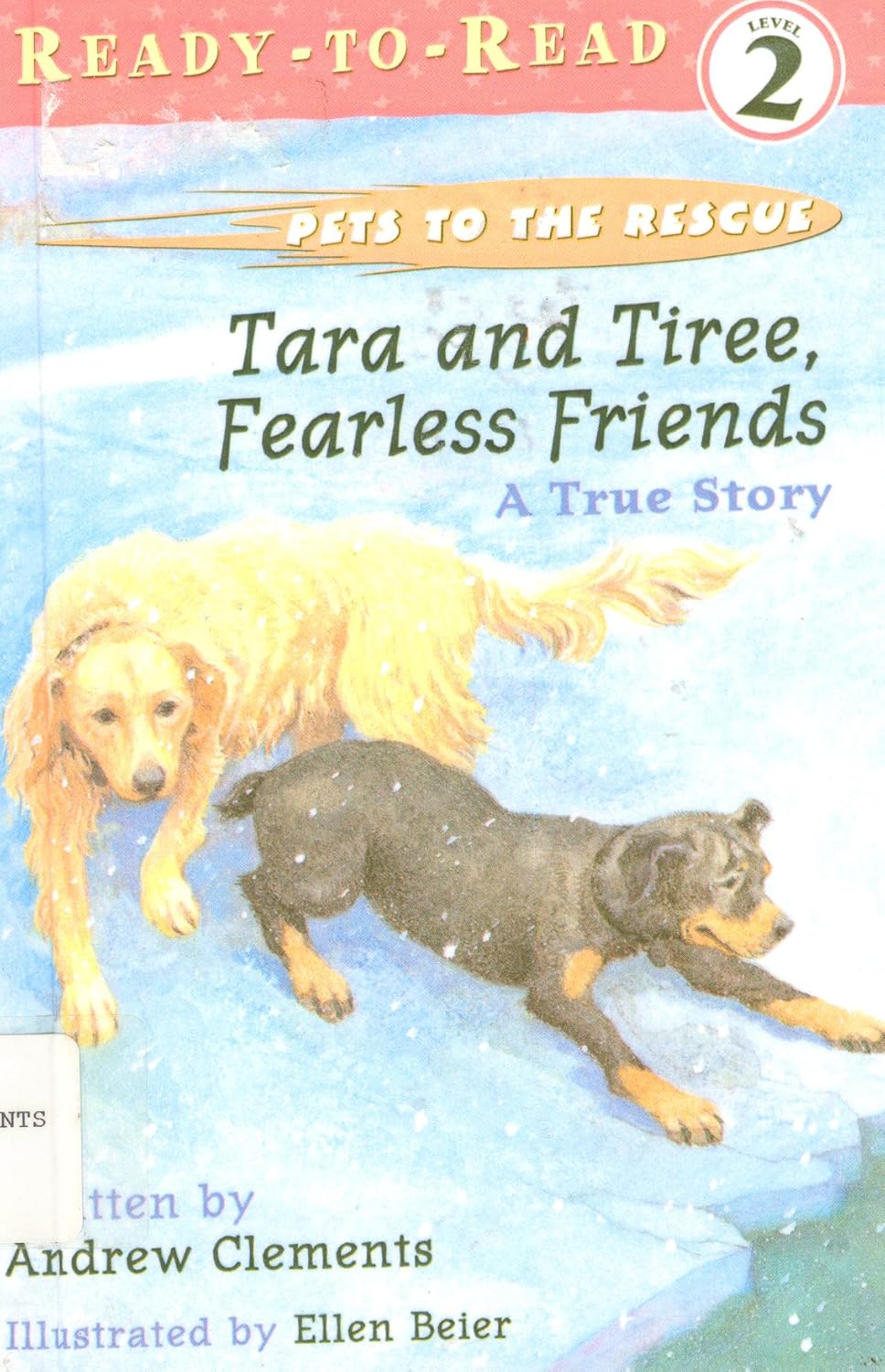 Amazon.com: Tara and Tiree, Fearless Friends: 9780689829178: Clements ...