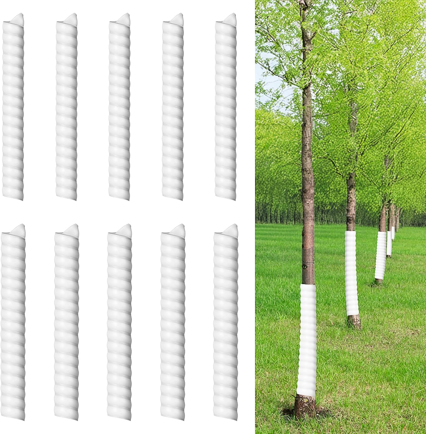 Amazon.com : 10 Pcs Tree Trunk Protector - 2 Size Plastic Spiral Tree ...