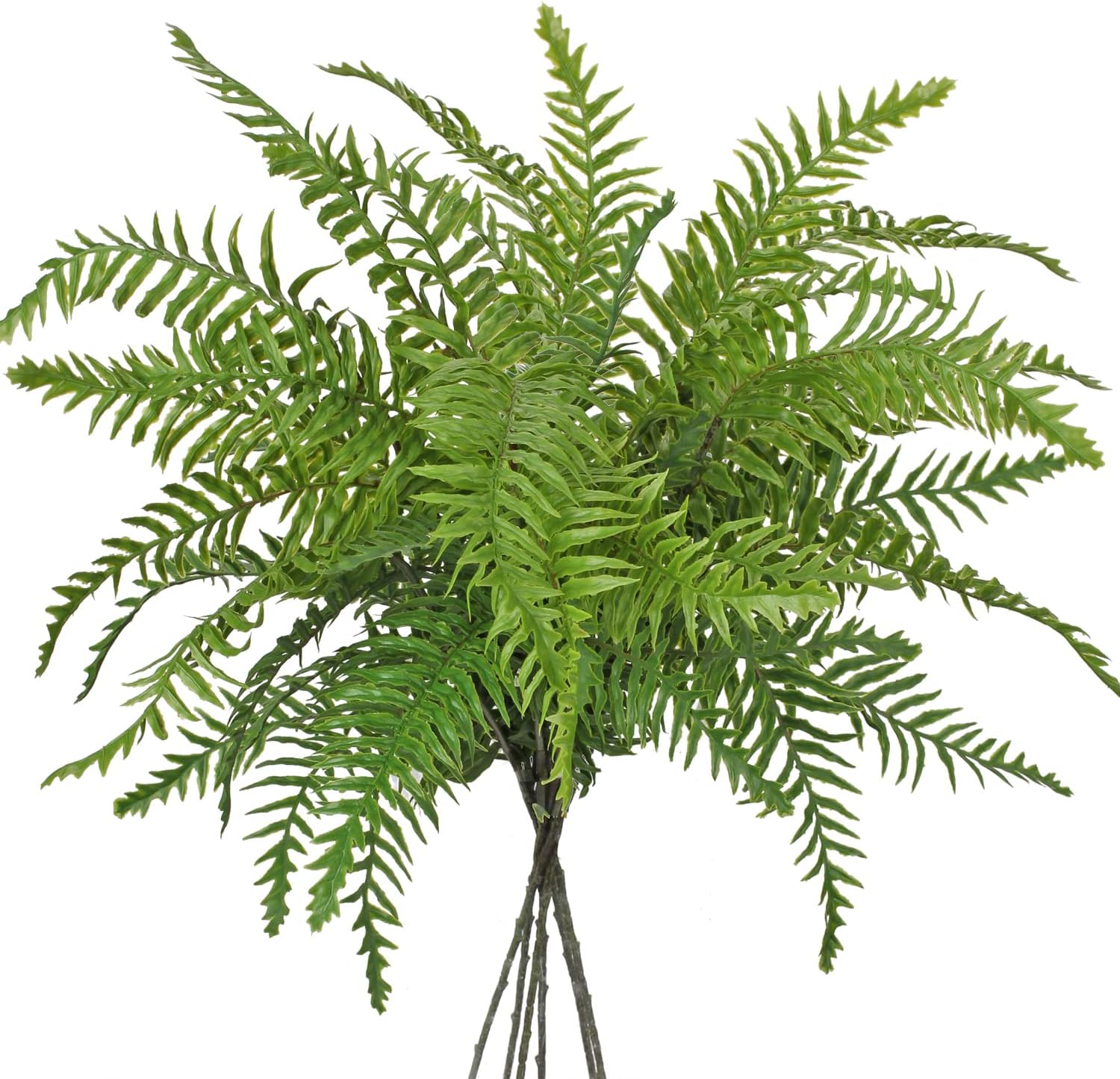 Amazon.de: Unbekannt Künstlicher LEDERFARN Pick 35 cm. Kleiner Kunst ...