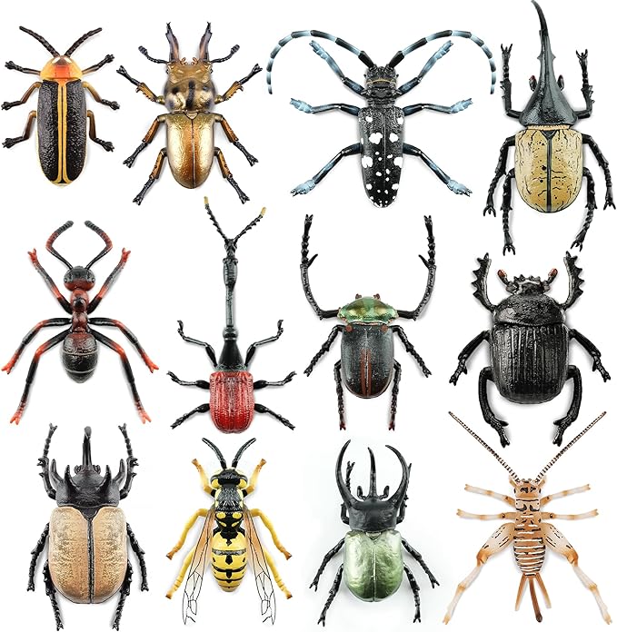 Amazon.com: Toymany 12PCS Realistic Insects Figurines Toys - Plastic ...
