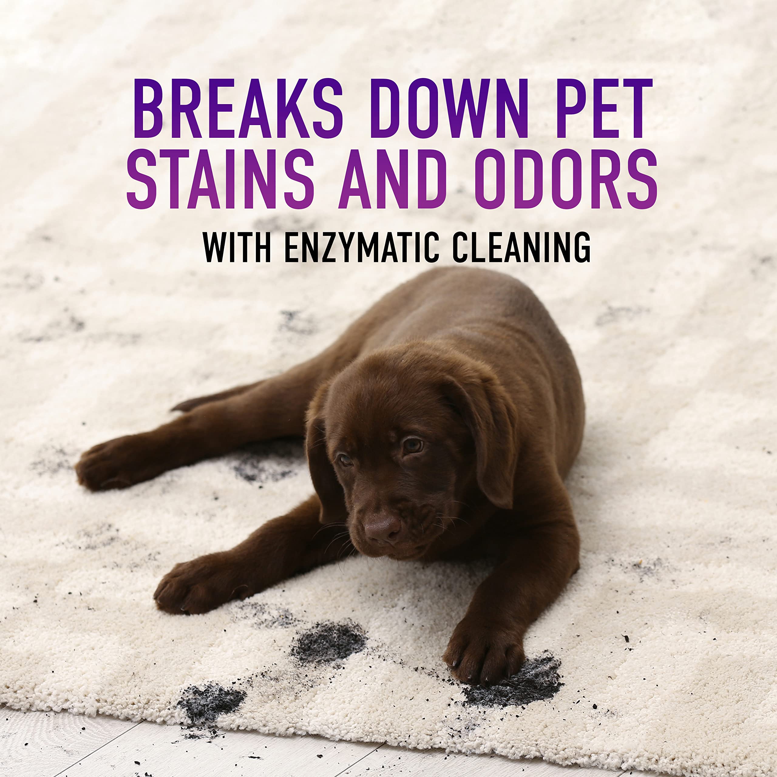 Buy Hoover Paws & Claws Hard Surface Floor Cleaner, Concentrated Pet ...