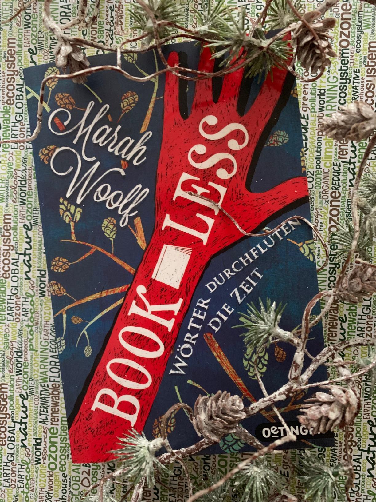 BookLess.Wörter durchfluten die Zeit (BookLessSaga 1) eBook : Woolf ...