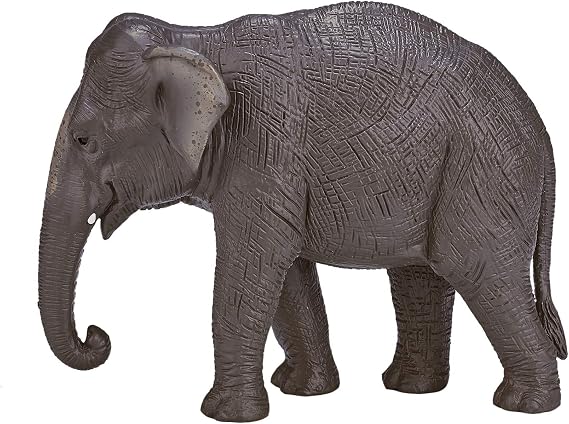Amazon.com: MOJO Asian Elephant Realistic International Wildlife Toy ...